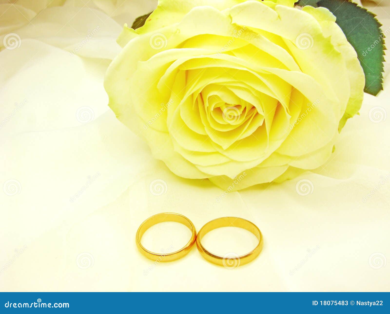 Yellow Rose And Wedding Rings Stock Image - Image of circle, colored ...