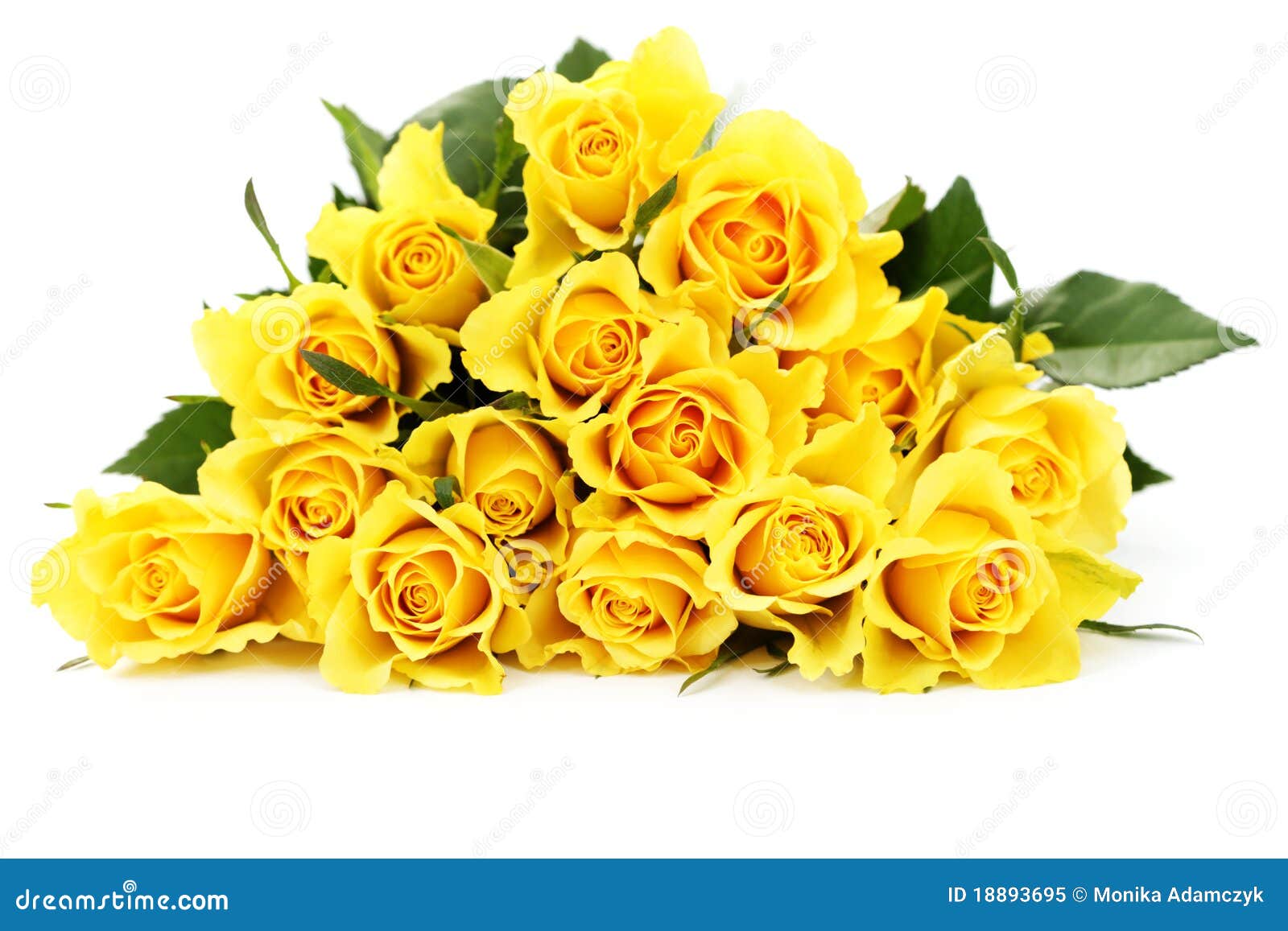 Yellow roses stock image. Image of white, gift, roses - 18893695