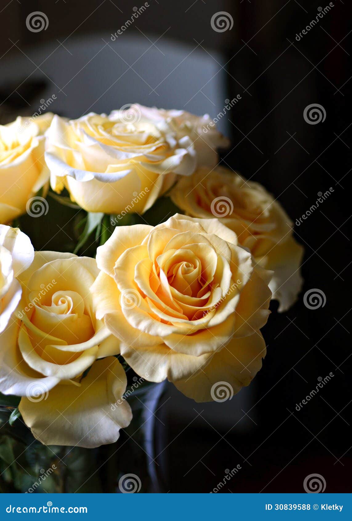 1,530 Sunlit Bouquet Stock Photos - Free & Royalty-Free Stock Photos ...