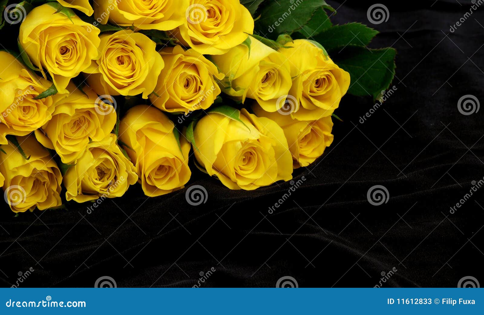 Yellow roses on the black stock image. Image of black - 11612833