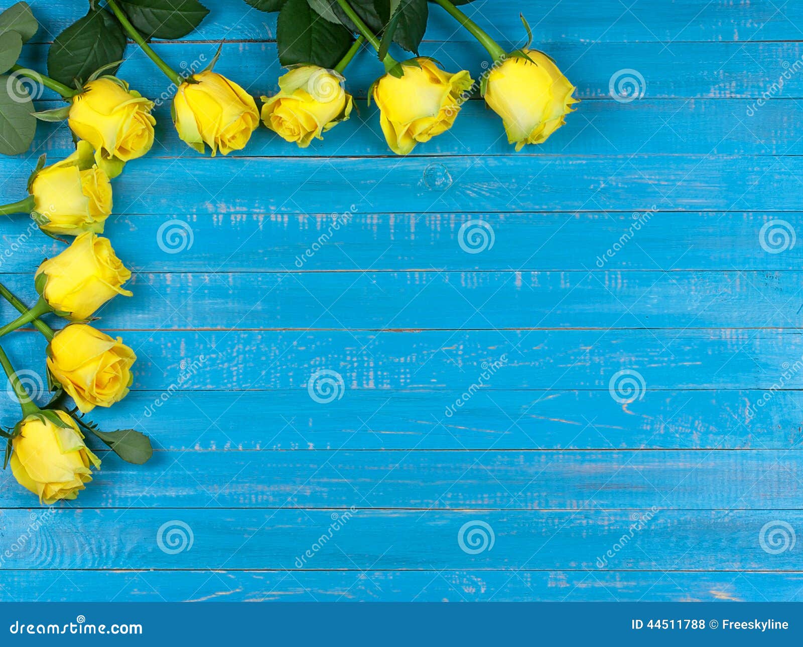 Yellow Roses on Blue Wooden Background Stock Photo - Image of breakfast ...
