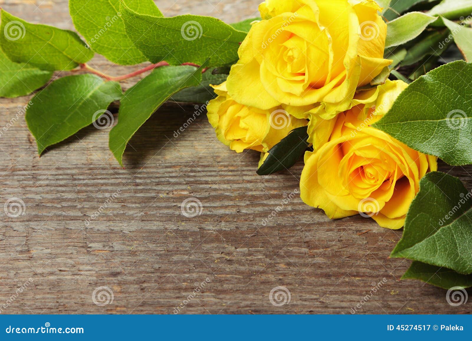 Yellow roses stock image. Image of structure, holiday - 45274517