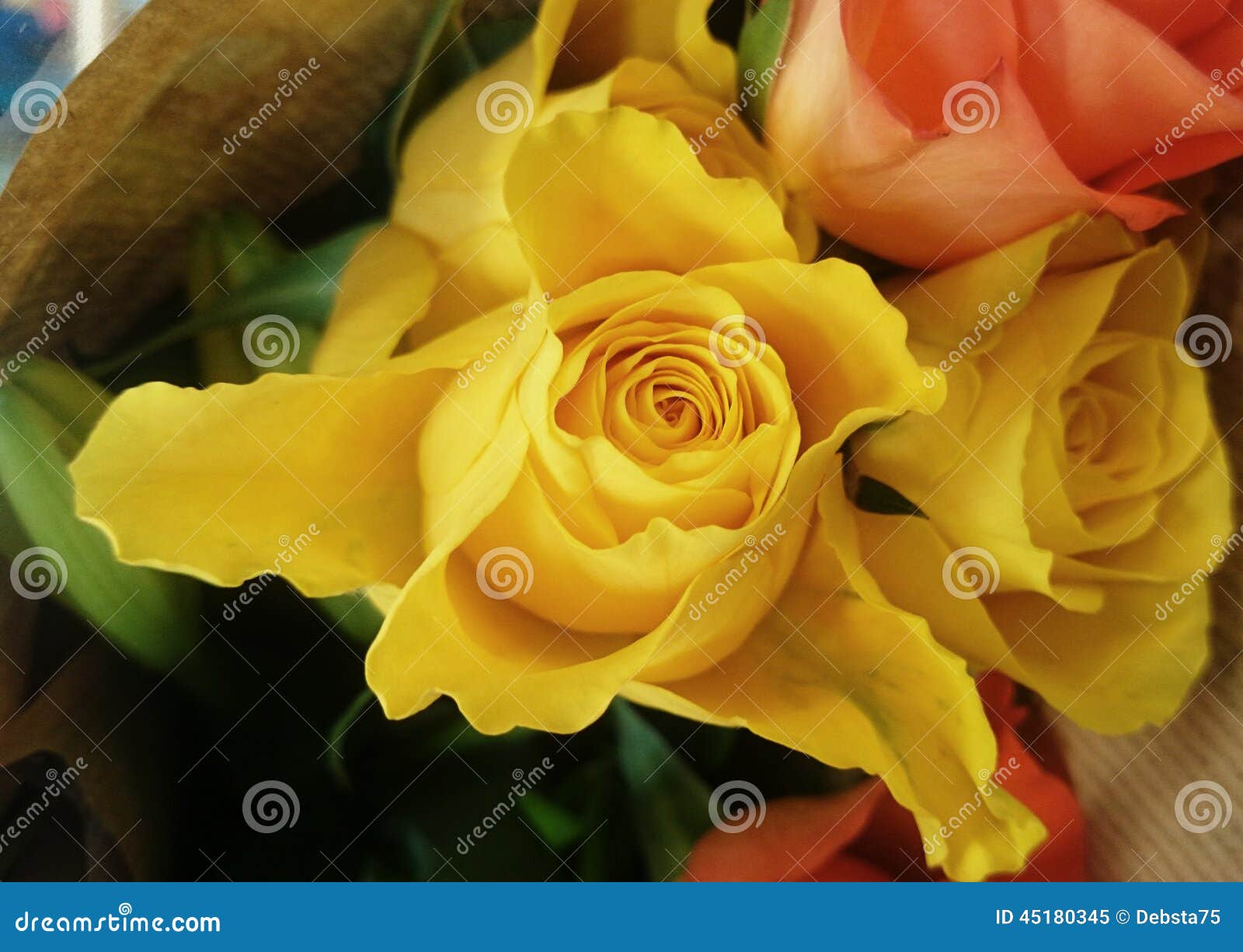 Yellow roses stock image. Image of gorgeous, birthday - 45180345