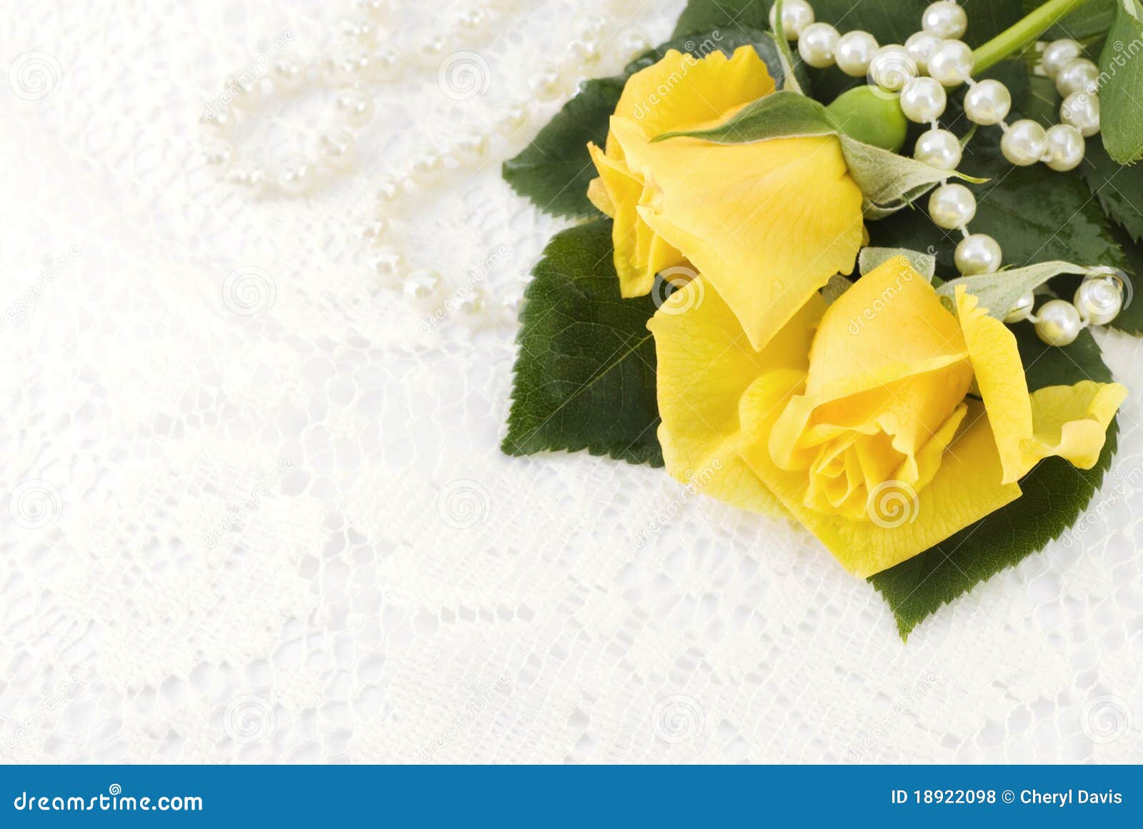 Yellow Roses on Lace Background Stock Photo - Image of lace, pearls ...