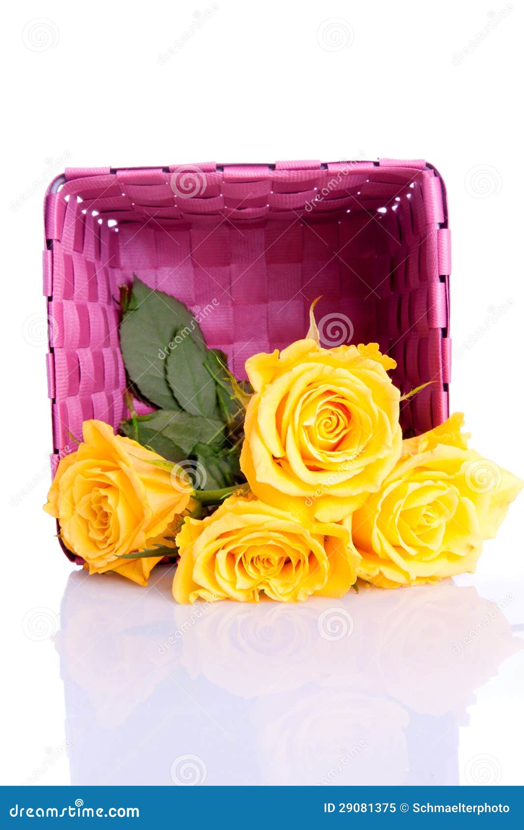 Yellow roses in a pink box stock image. Image of flower - 29081375