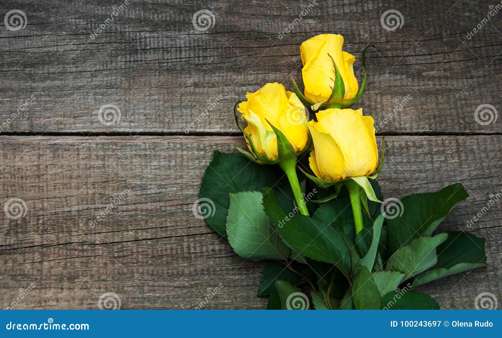 Yellow roses on a table stock image. Image of decoration - 100243697