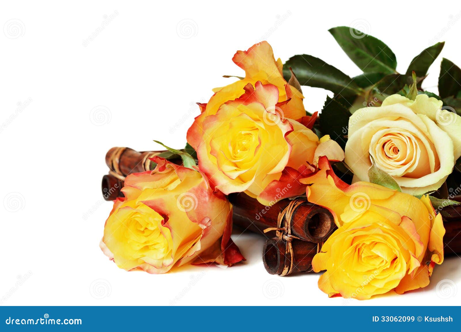 Yellow Roses on White Background Stock Image - Image of engagement ...
