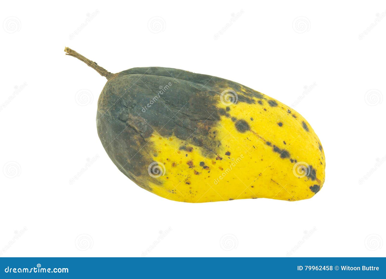 Rotten Mangoes Isolated On White Background Royalty-Free Stock Photo ...