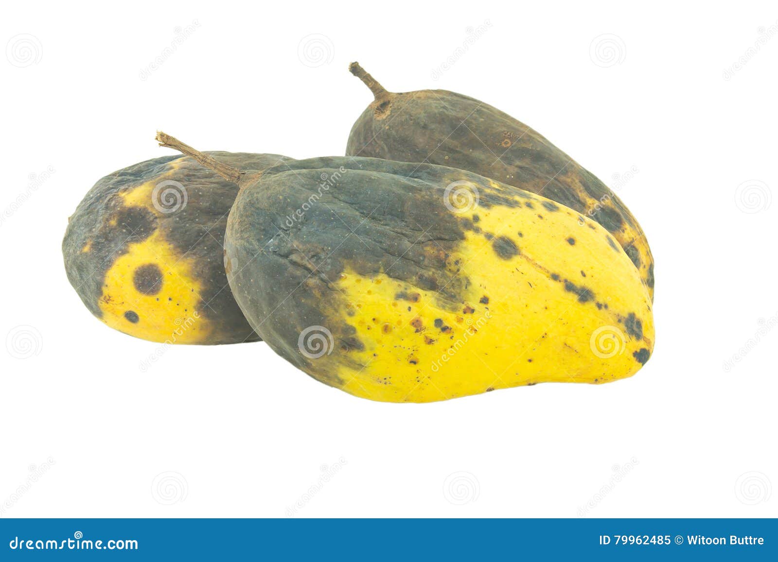 Rotten Mangoes Isolated On White Background Royalty-Free Stock Photo ...