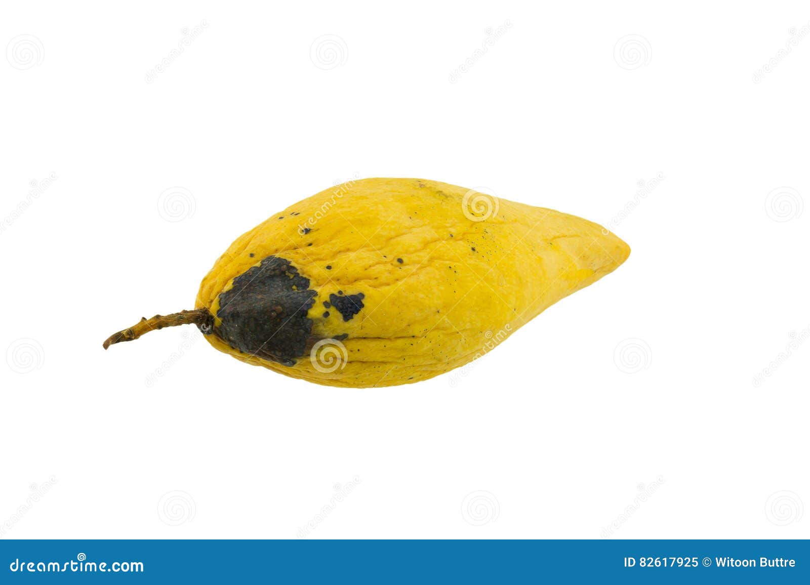 Rotten Mangoes Isolated On White Background Royalty-Free Stock Photo ...