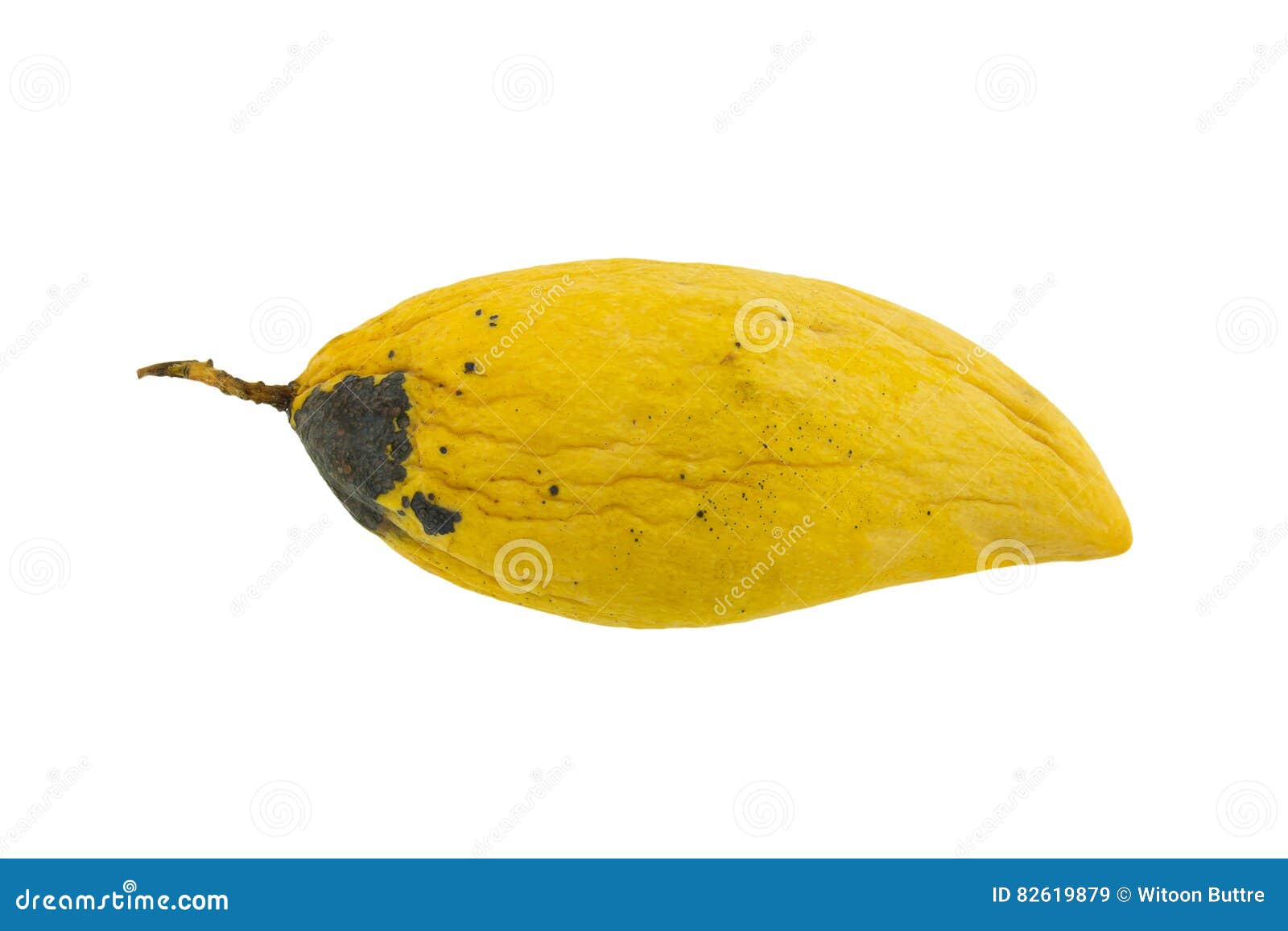 Rotten Mangoes Isolated On White Background Royalty-Free Stock Photo ...