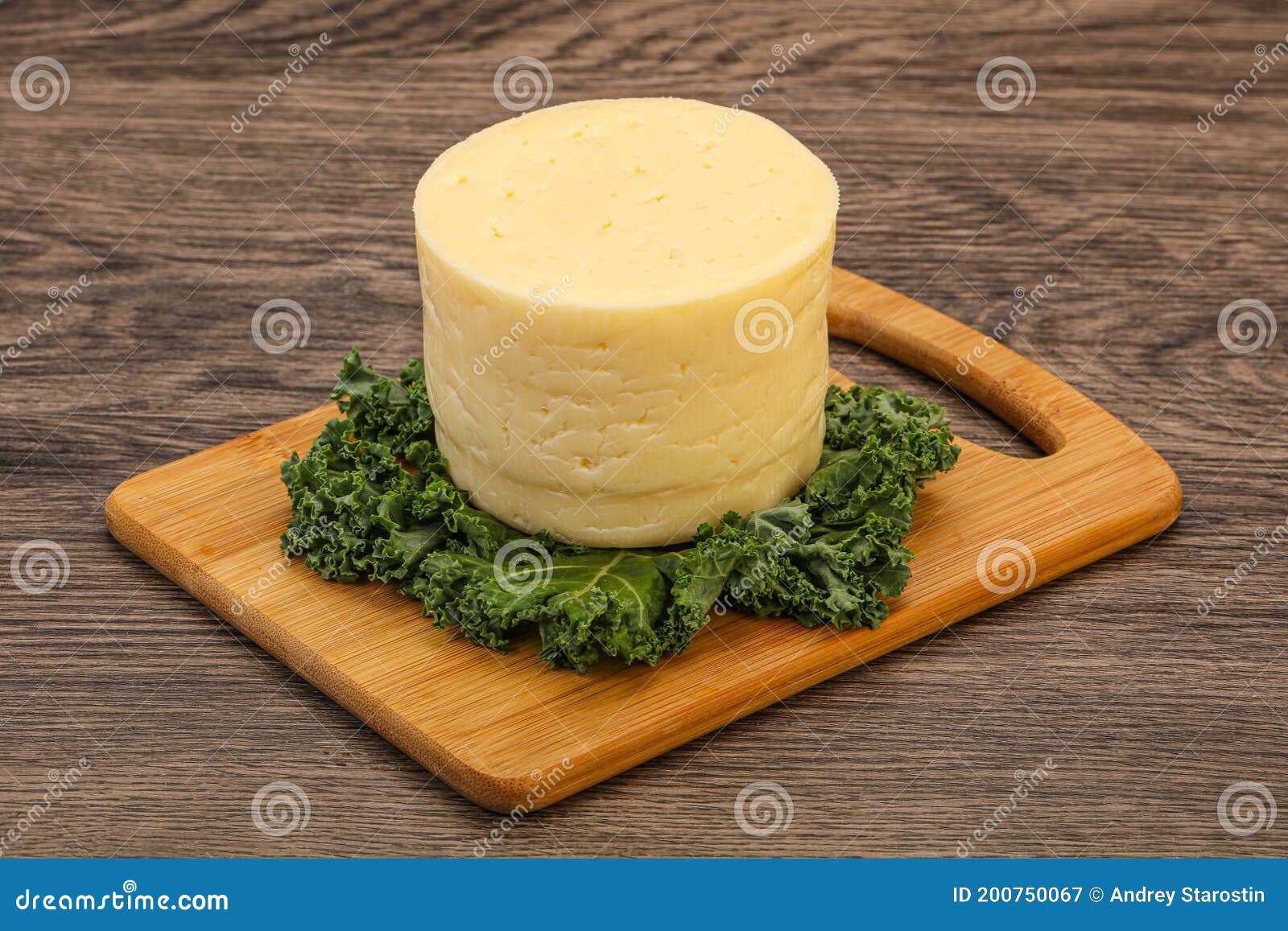 Yellow Round Dairy Soft Cheese Stock Image - Image of milk, dairy ...