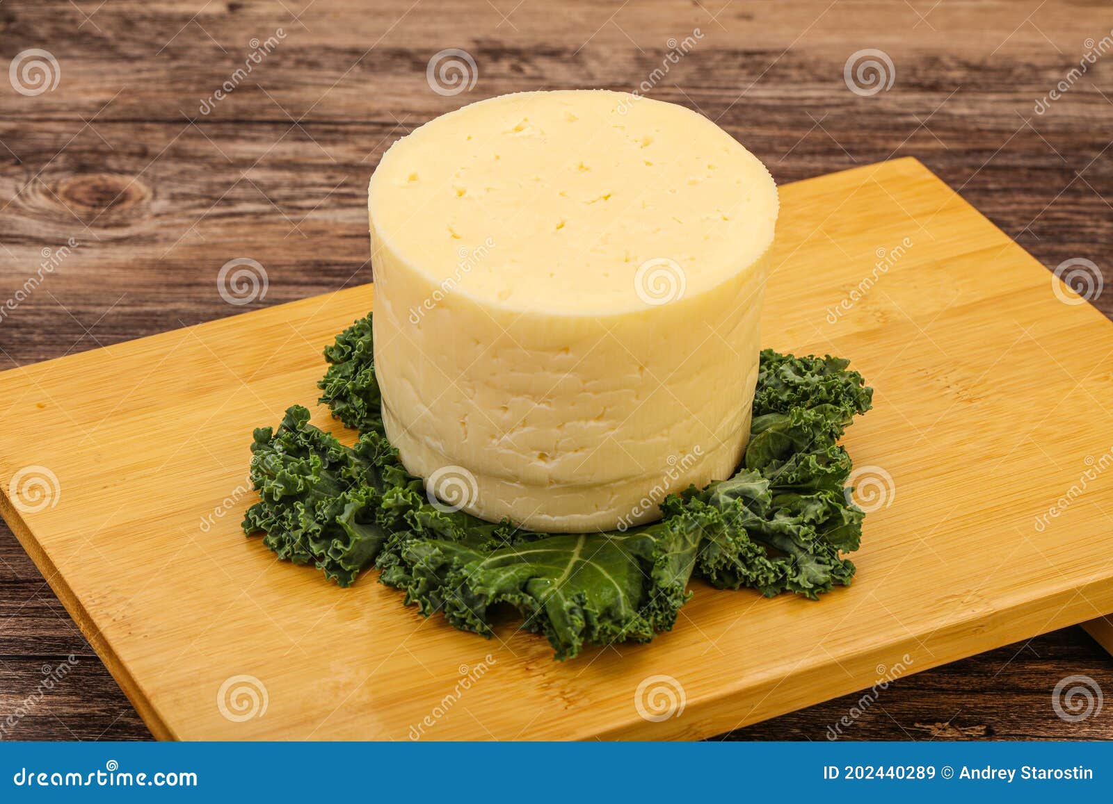 Yellow Round Dairy Soft Cheese Stock Image - Image of tasty, fresh ...