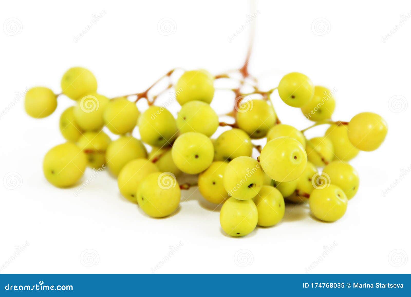 Yellow Round Natural Small Berries on a White Background Stock Image ...