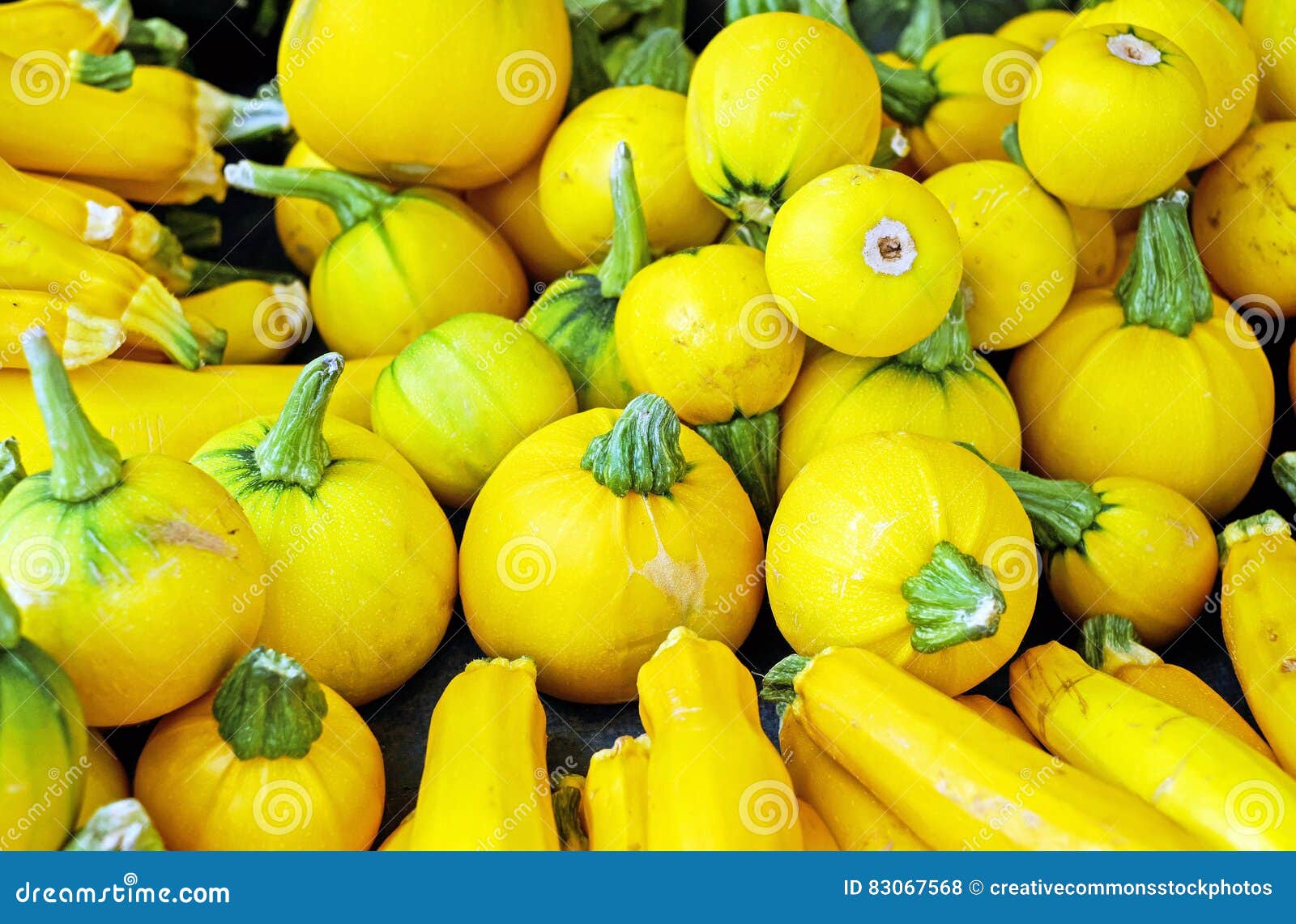 Yellow Round Vegetables Picture. Image: 83067568