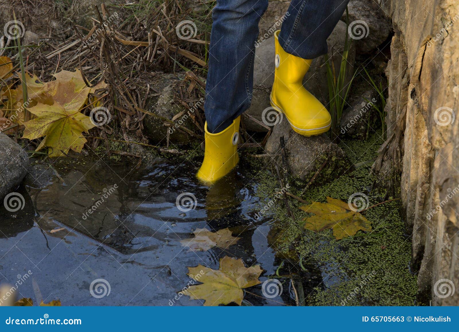 Yellow rubber boots stock image. Image of rain, fashion - 65705663