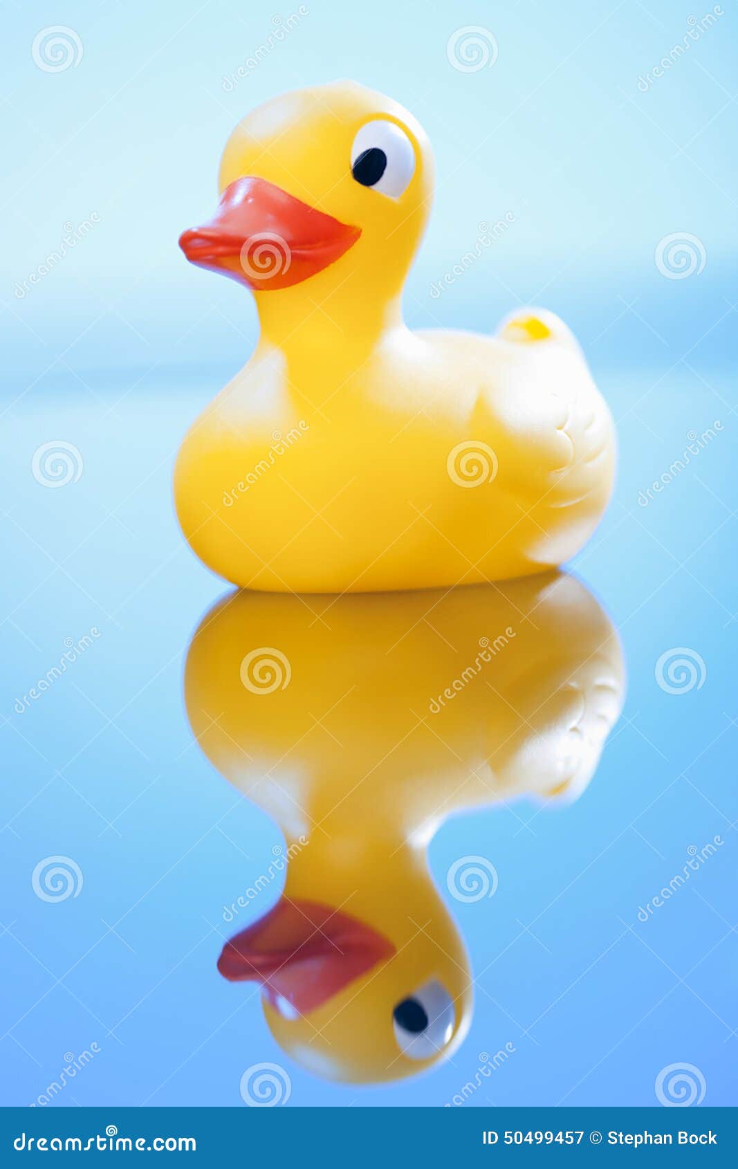 Yellow rubber duck stock image. Image of rubber, yellow - 50499457