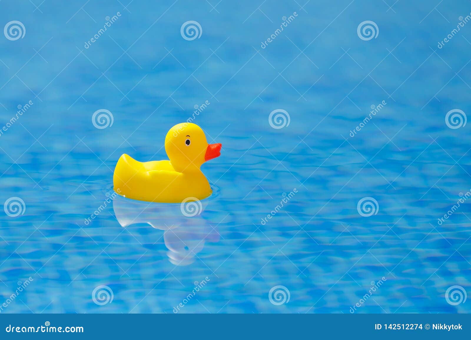 Yellow Rubber Duck in Blue Swimming Pool Stock Photo - Image of color ...