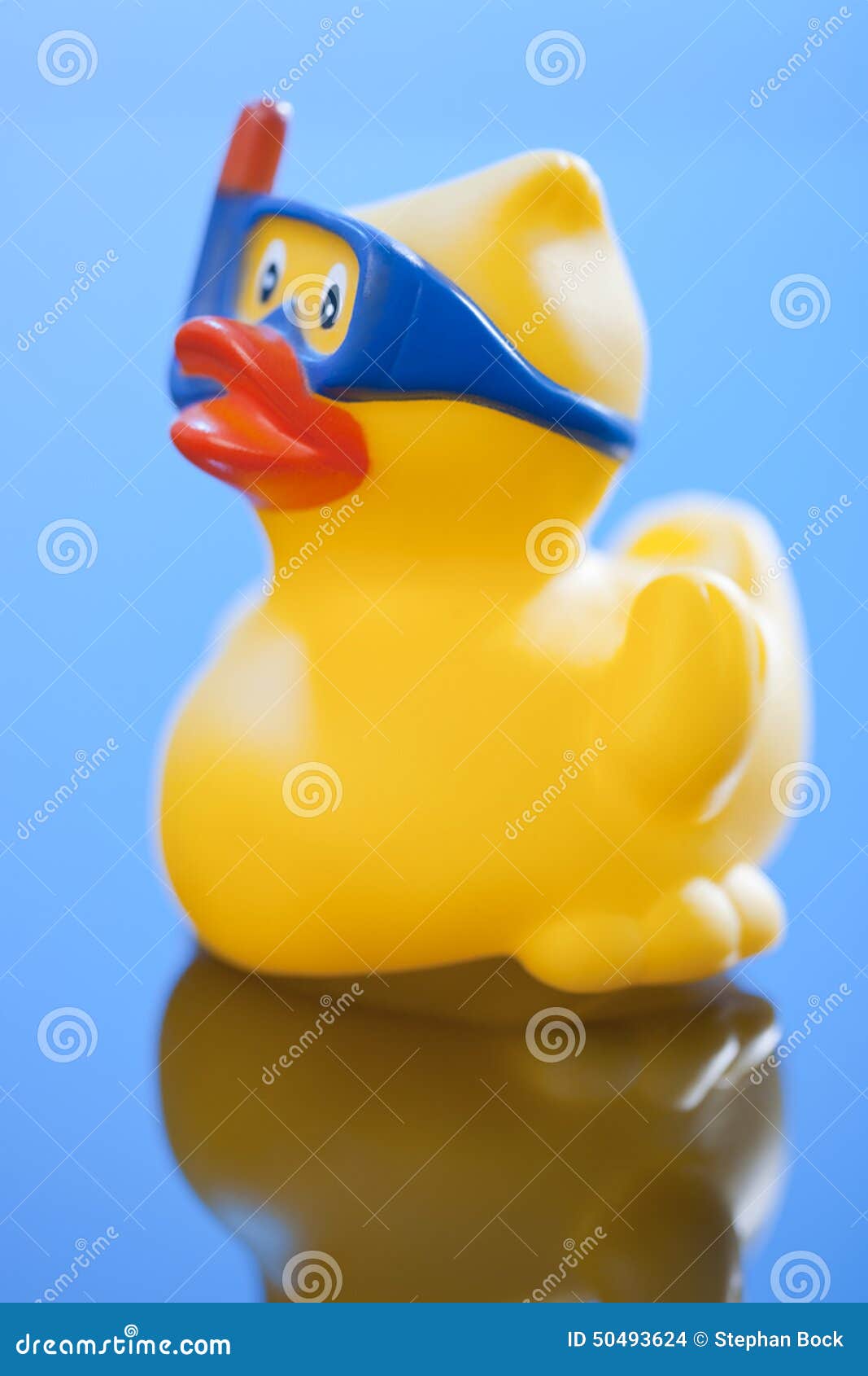 Yellow Rubber Duck, Close-up Stock Photo - Image of duck, rubber: 50493624