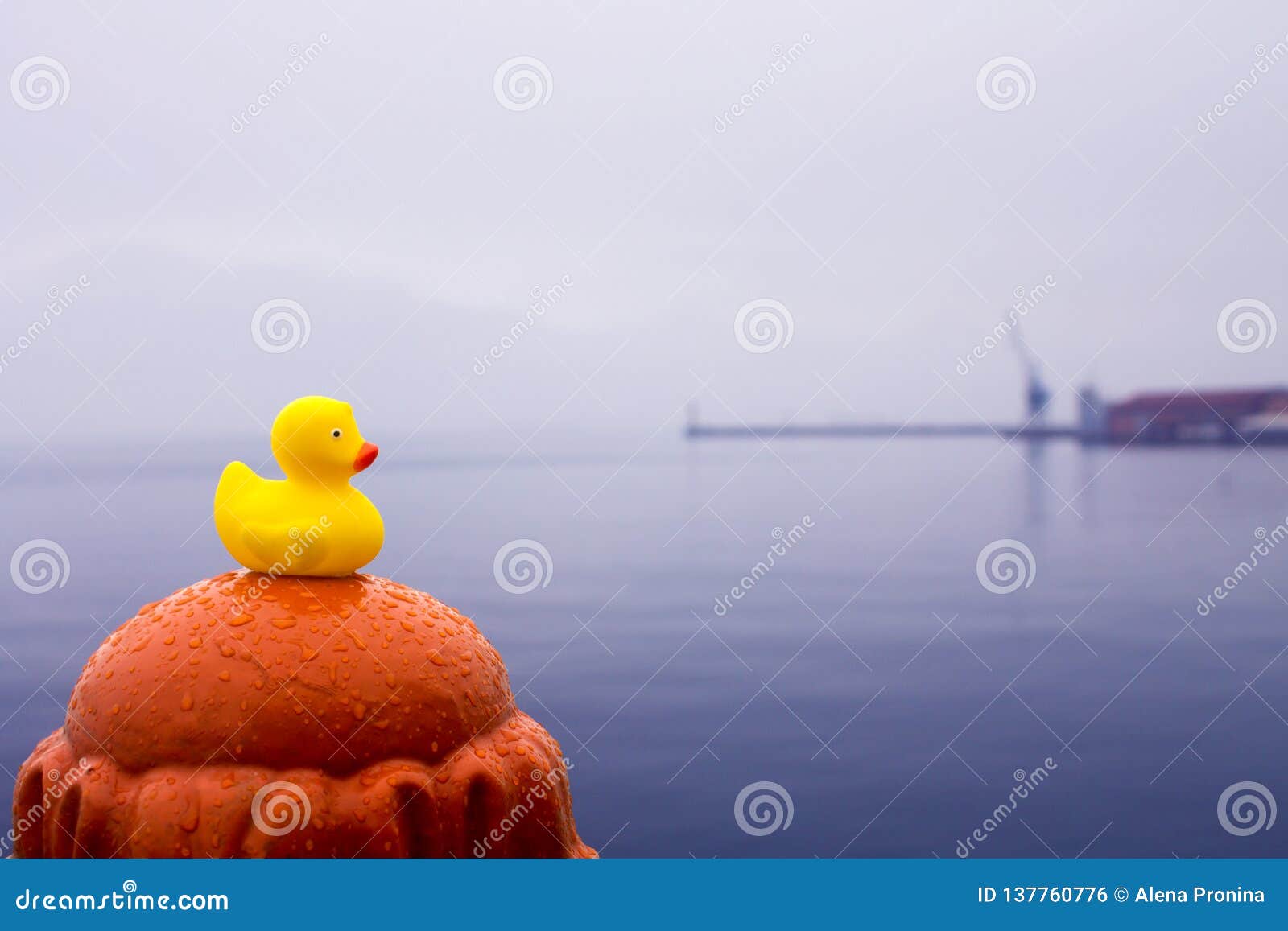 Yellow Rubber Duck with Crane on the Back Ground Stock Photo - Image of ...