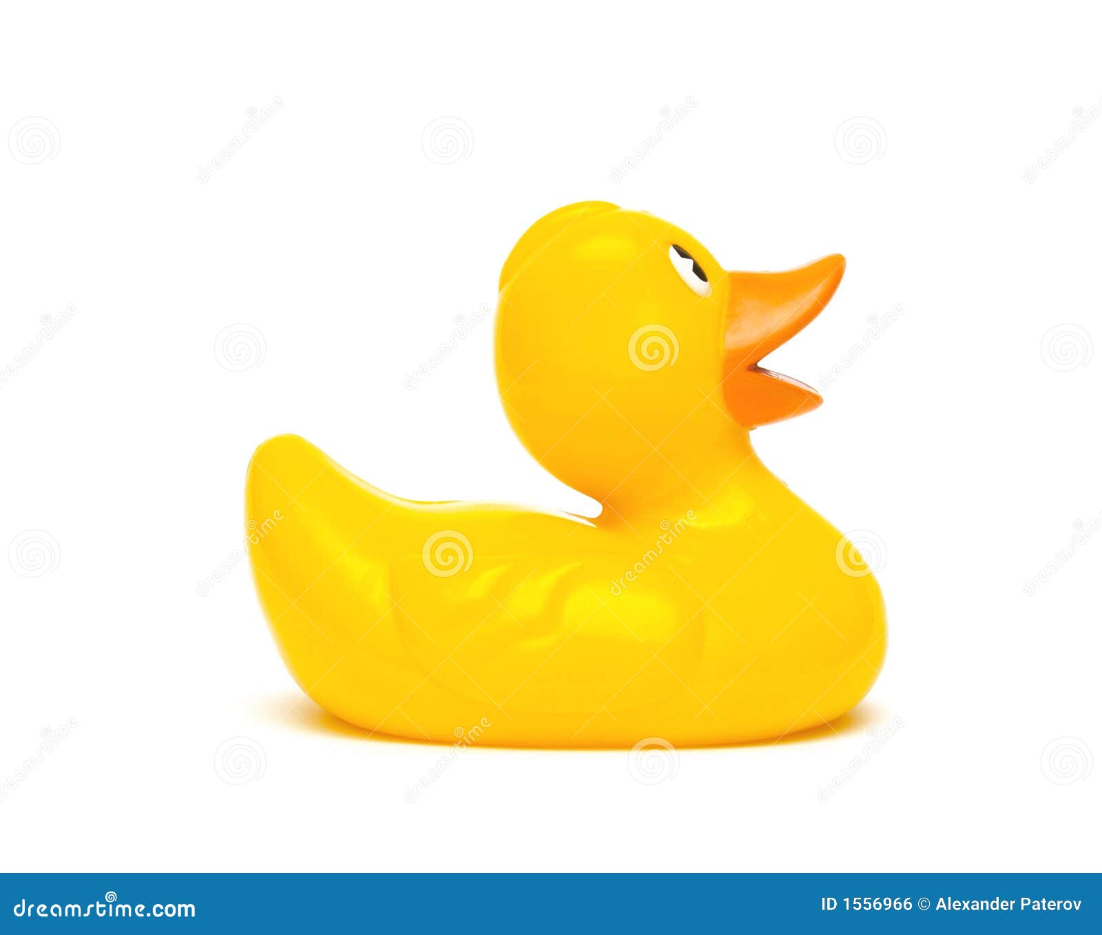 A Yellow Rubber Duck Isolated on a White Background Stock Photo - Image ...