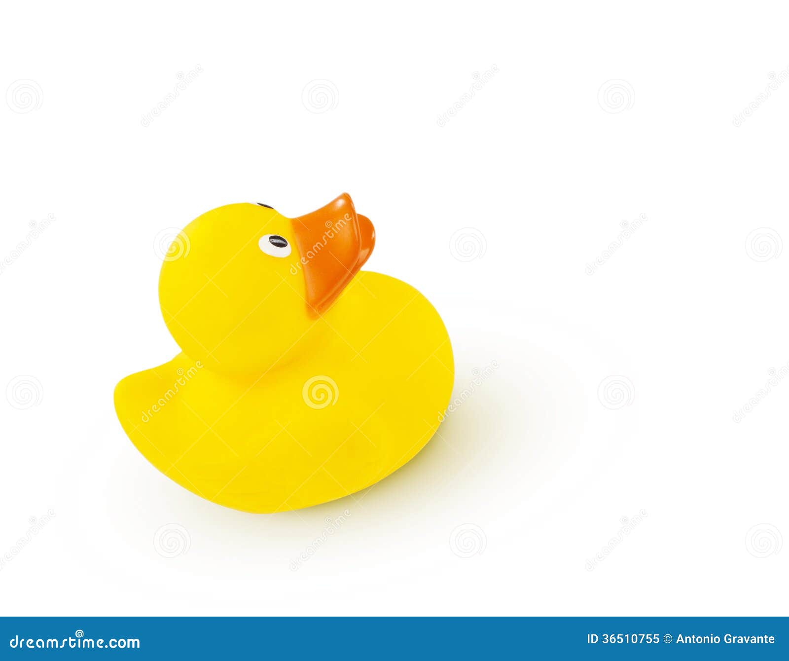 Safety Duckie Royalty-Free Stock Image | CartoonDealer.com #4452388