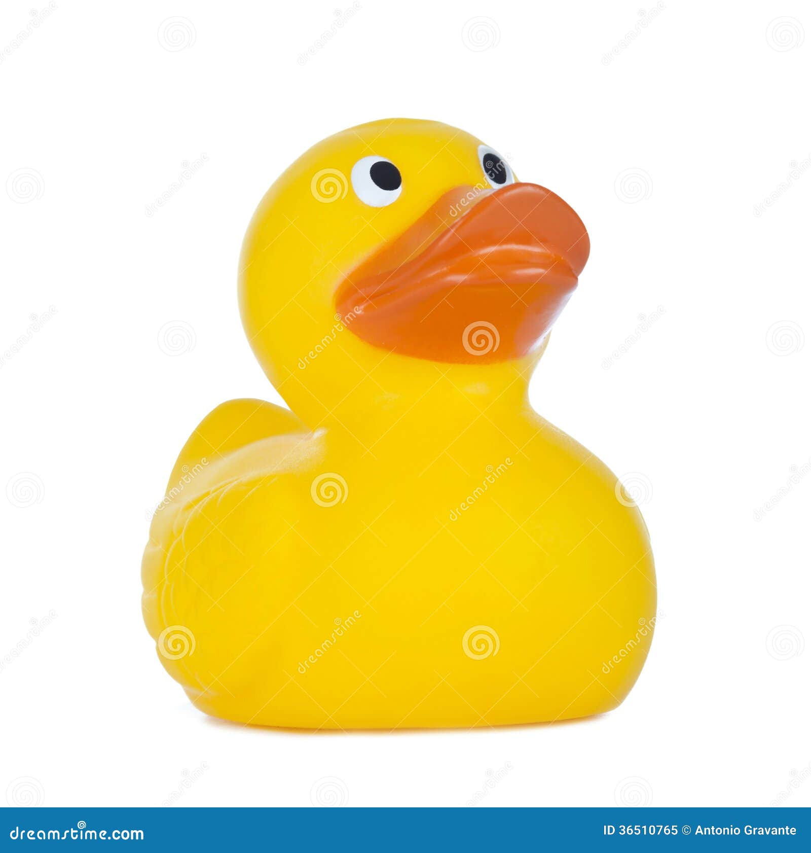 Safety Duckie Royalty-Free Stock Image | CartoonDealer.com #4452388