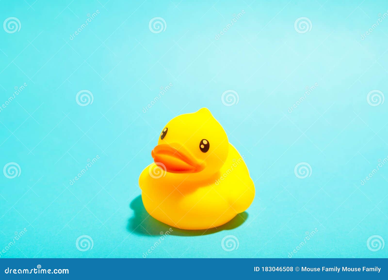 Yellow Rubber Duck Organized on Blue Background Stock Photo - Image of ...