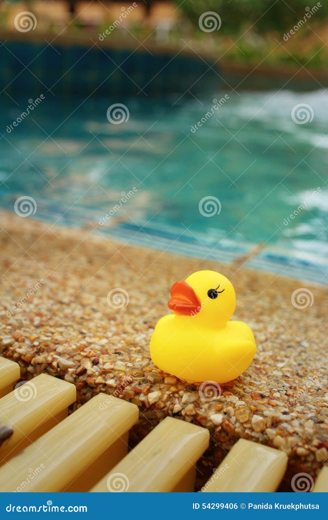 Yellow Rubber Duck at the Swimming Pool. Stock Photo - Image of game ...