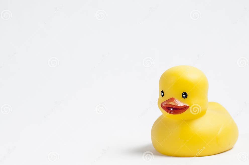 Yellow rubber duckie stock photo. Image of beak, child - 27733228