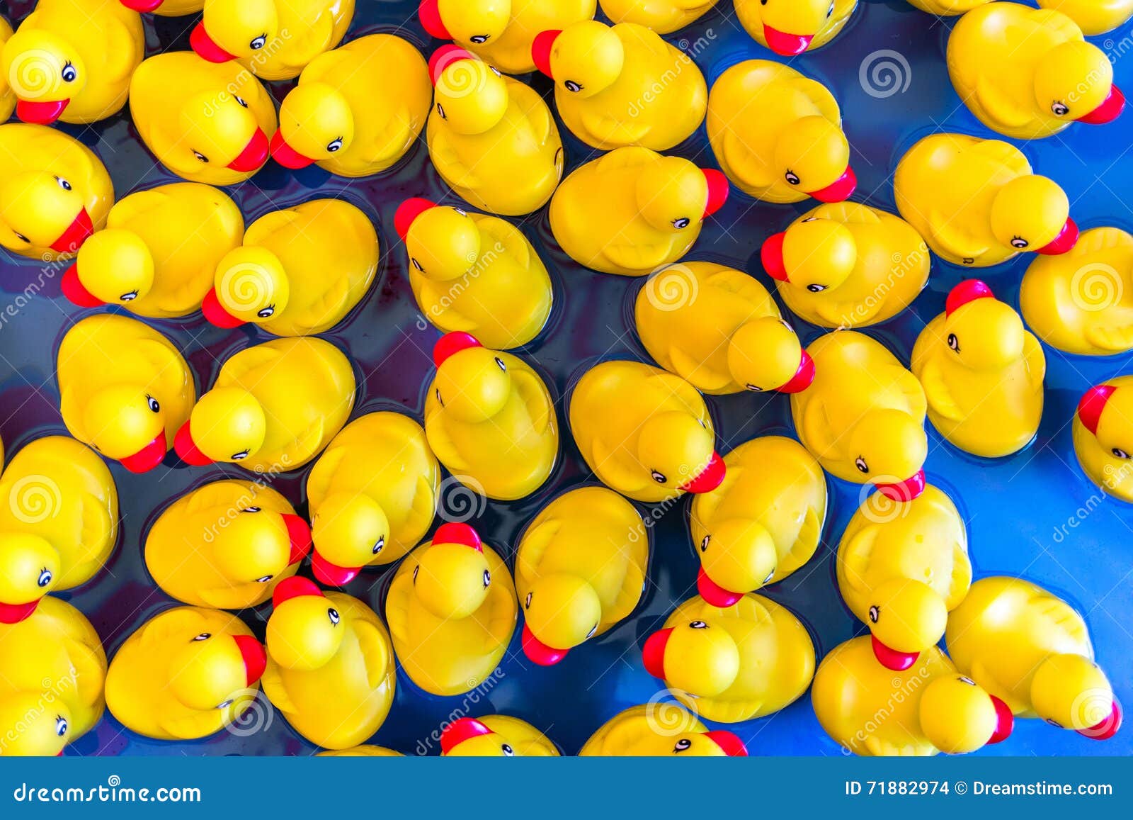 Yellow Rubber Ducks Floating on Water Stock Photo - Image of floating ...