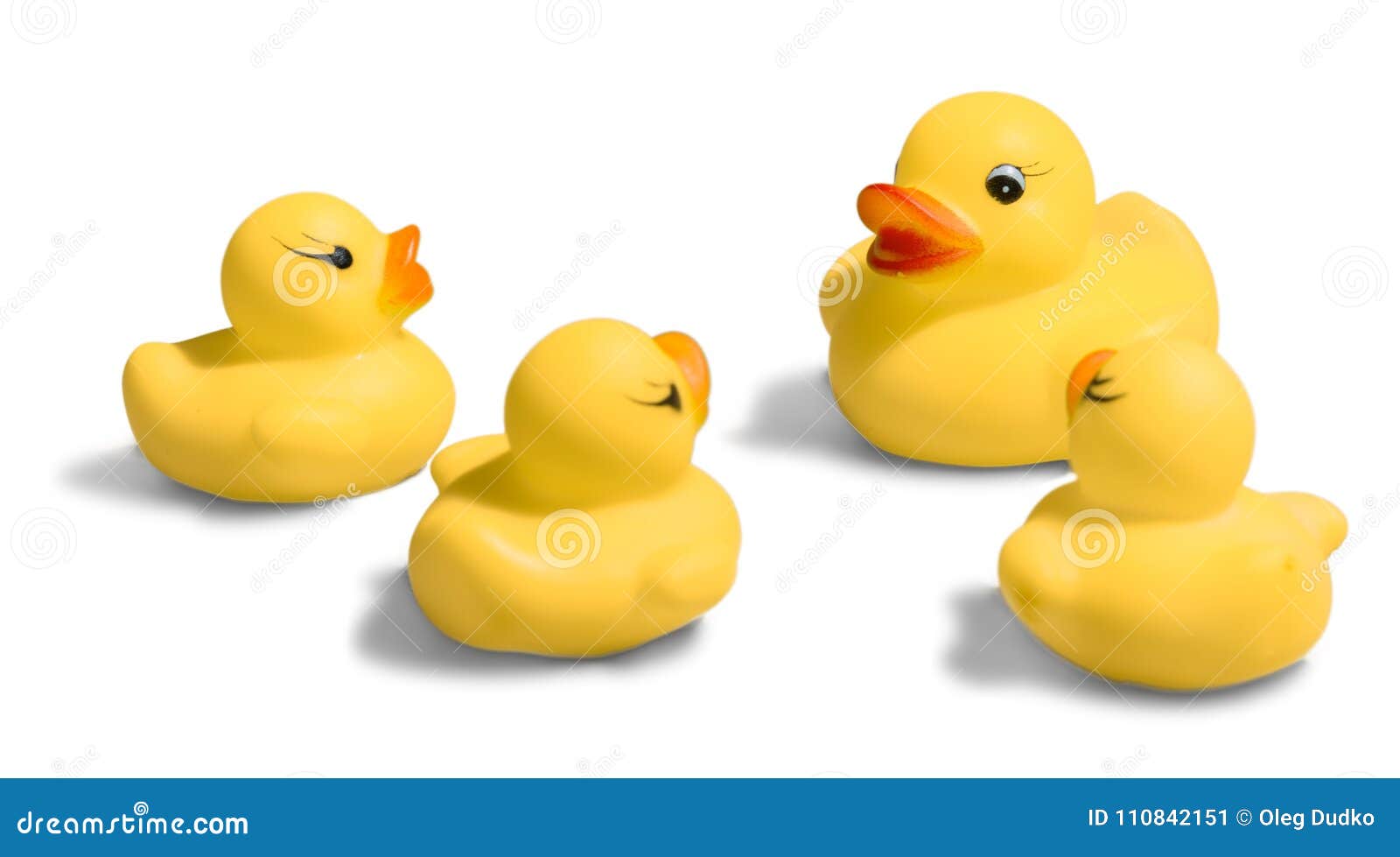Yellow Rubber Ducks Isolated on White Stock Image - Image of play ...
