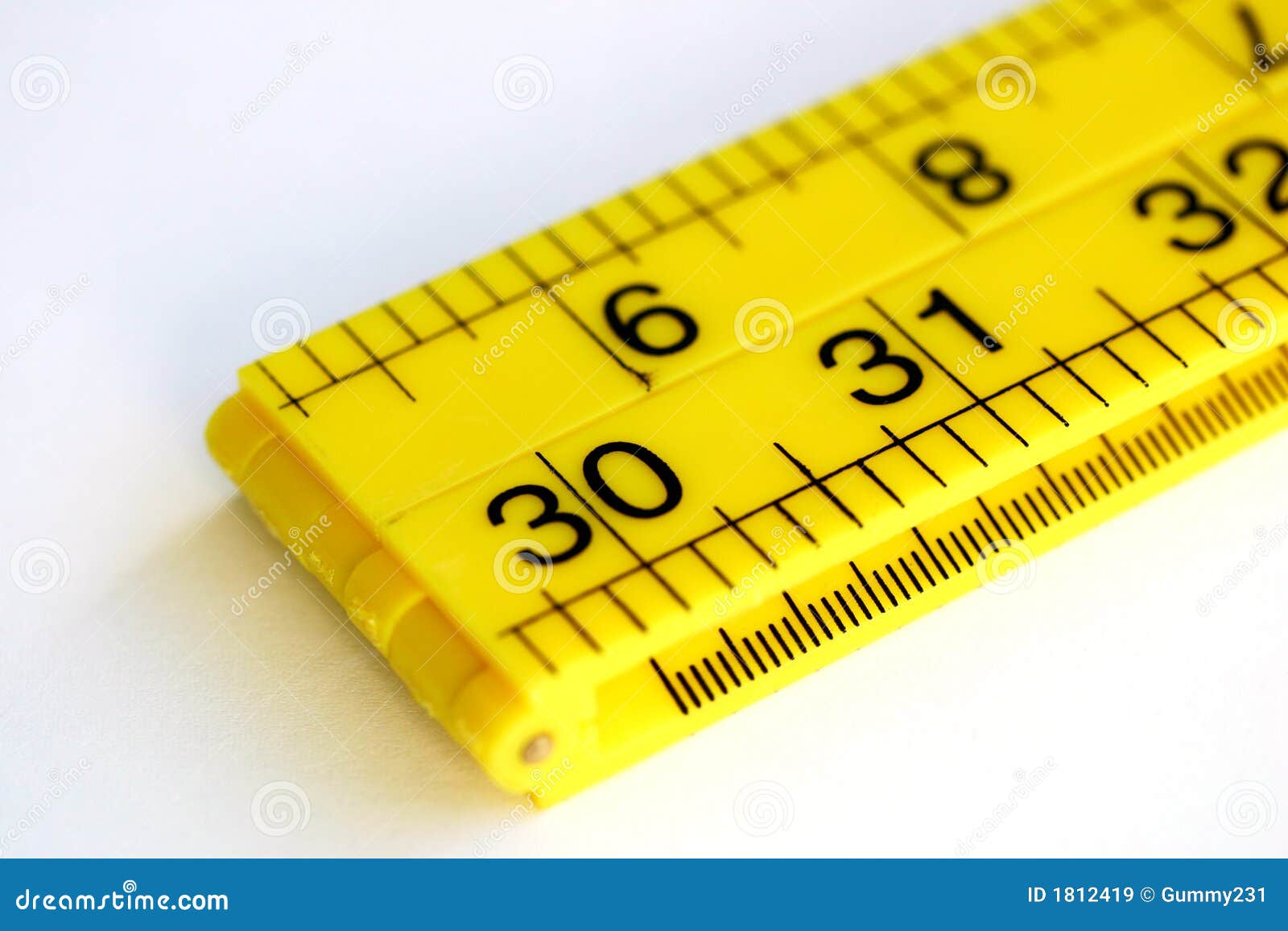 Yellow Ruler Picture. Image: 1812419
