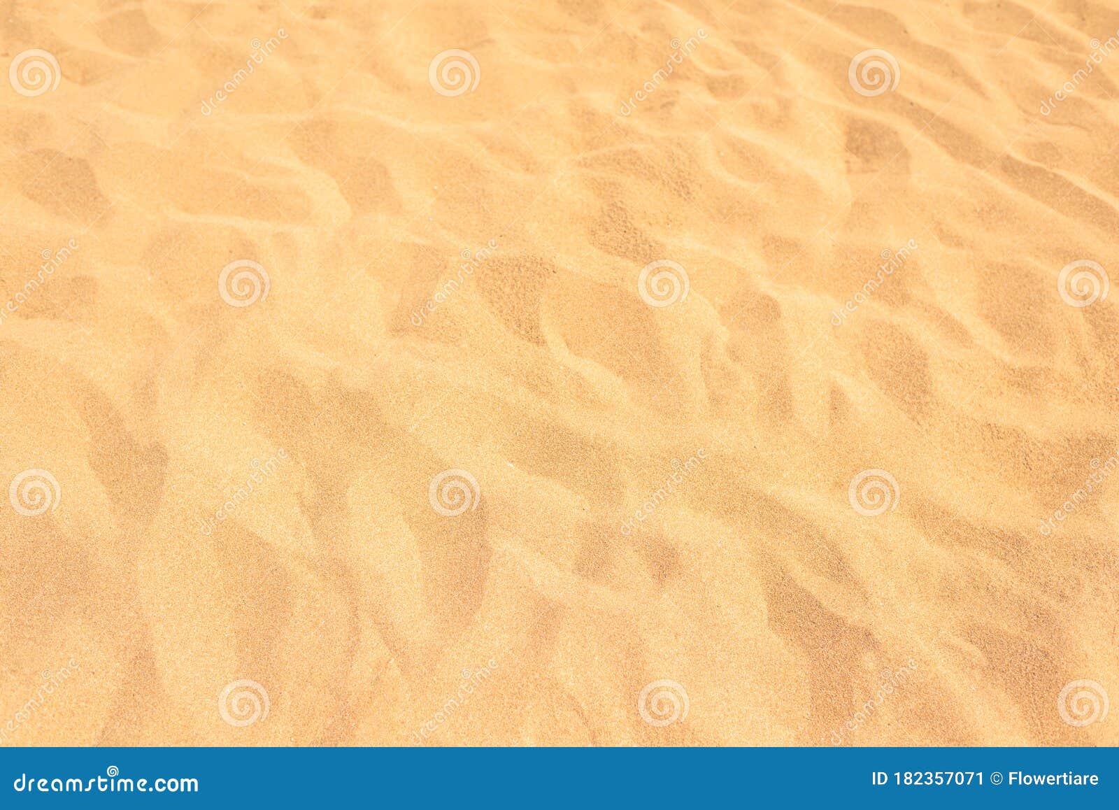 Yellow Sand Background on Sunset Beach. Close-up/ Stock Image - Image ...