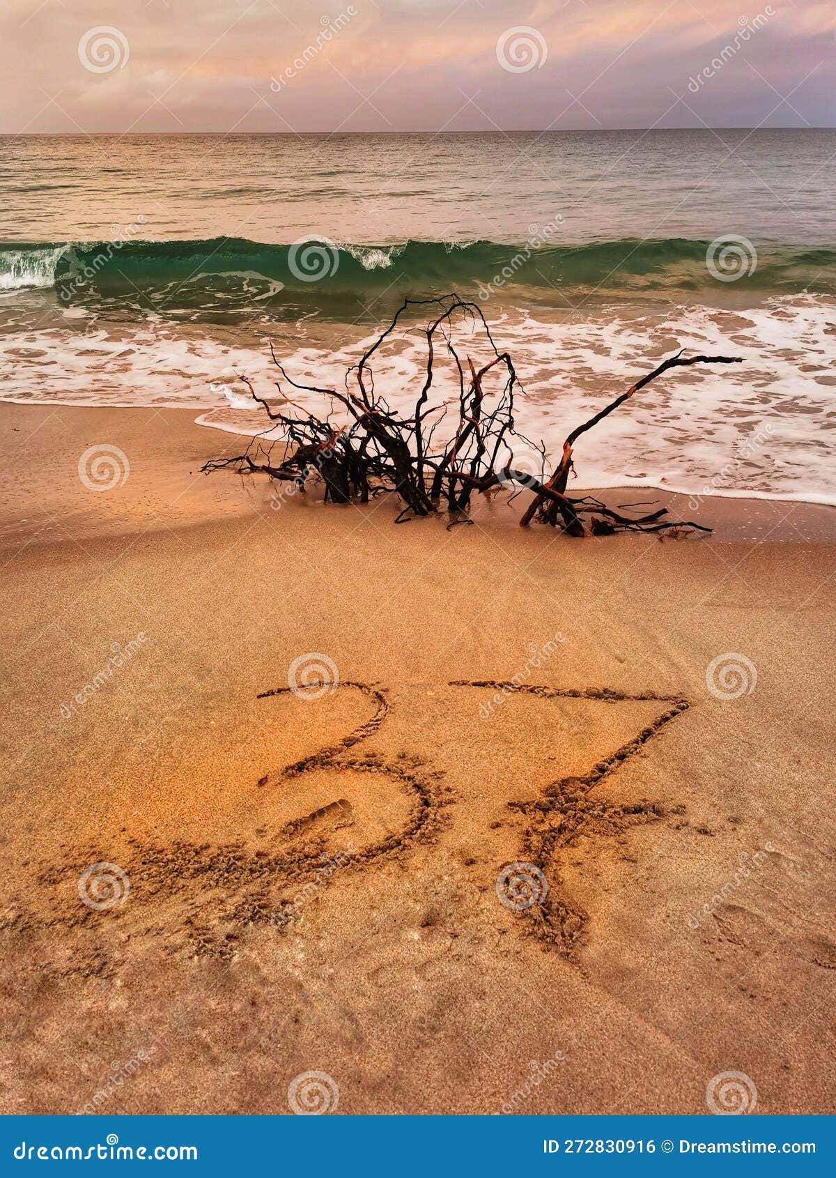 Gentle Wave From The Pacific Along The Southern California Coast, 1 ...