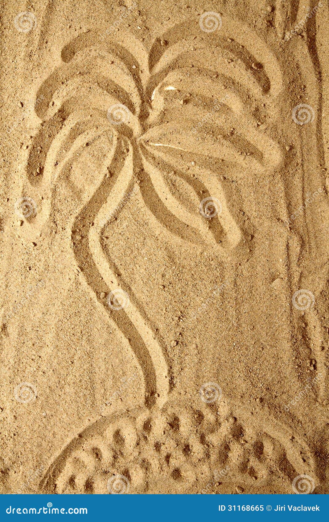 Yellow Sand Texture (palm Tree) Stock Image - Image of closeup, grained ...
