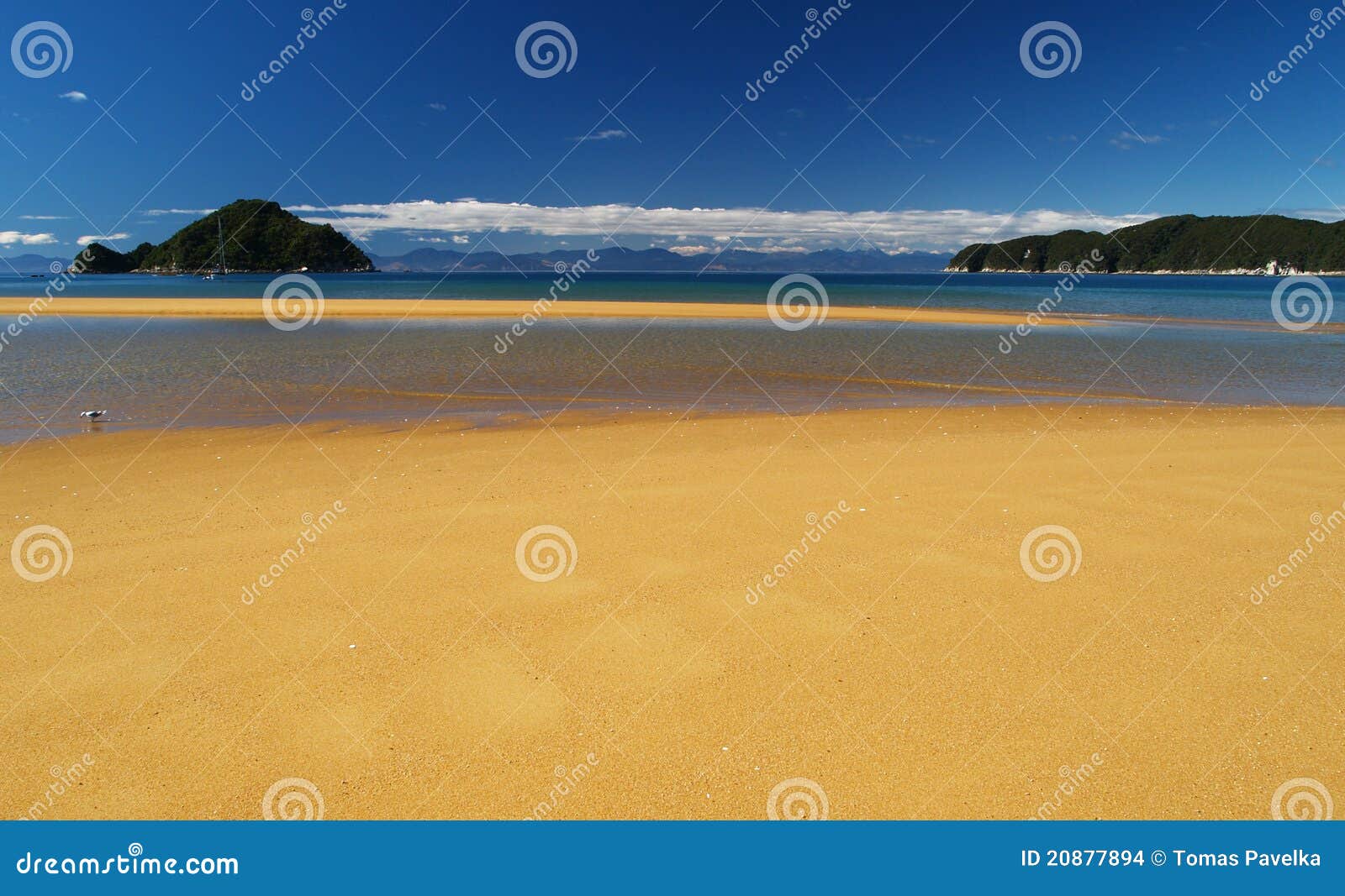 Yellow sandy beach stock photo. Image of sand, national - 20877894
