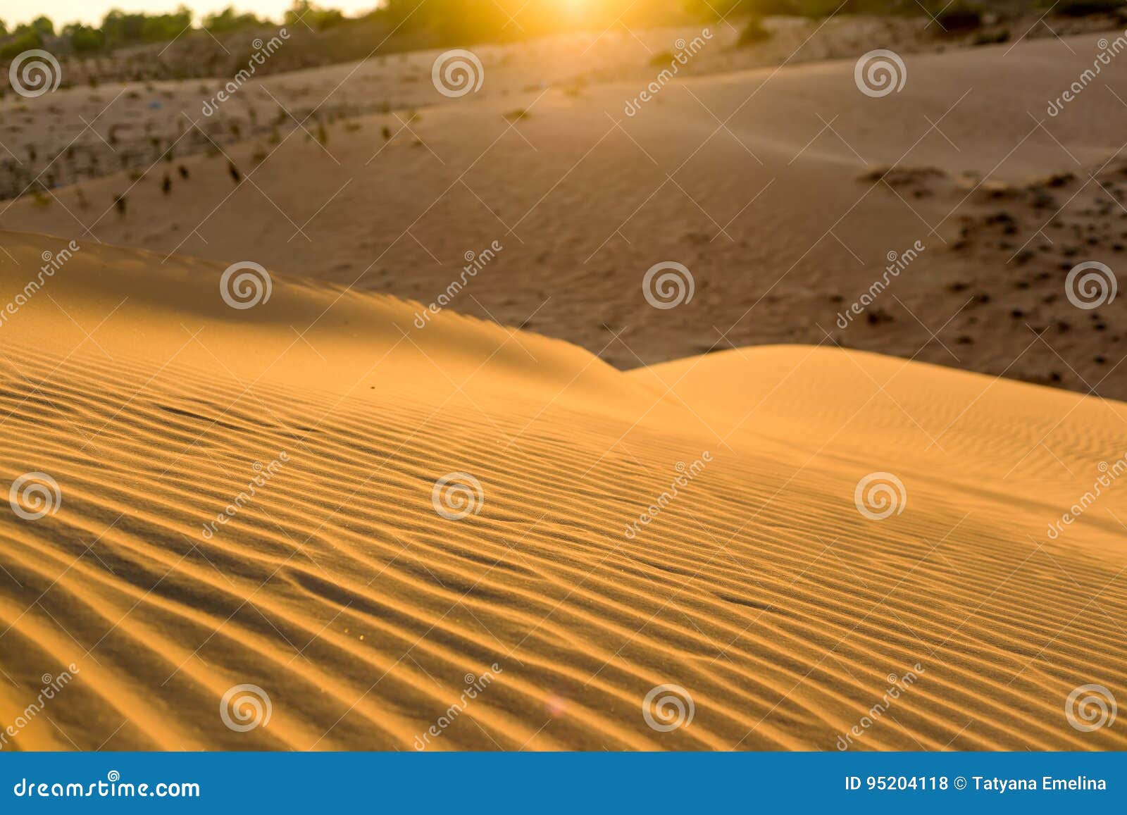 Yellow Sandy Wavy Dunes Texture Stock Photo - Image of pattern, scenery ...