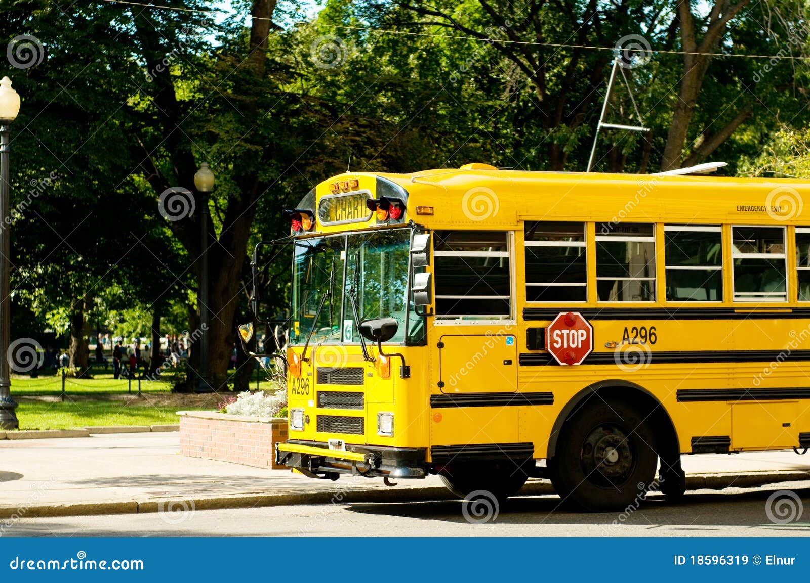 Yellow school bus stock image. Image of front, elementary - 18596319