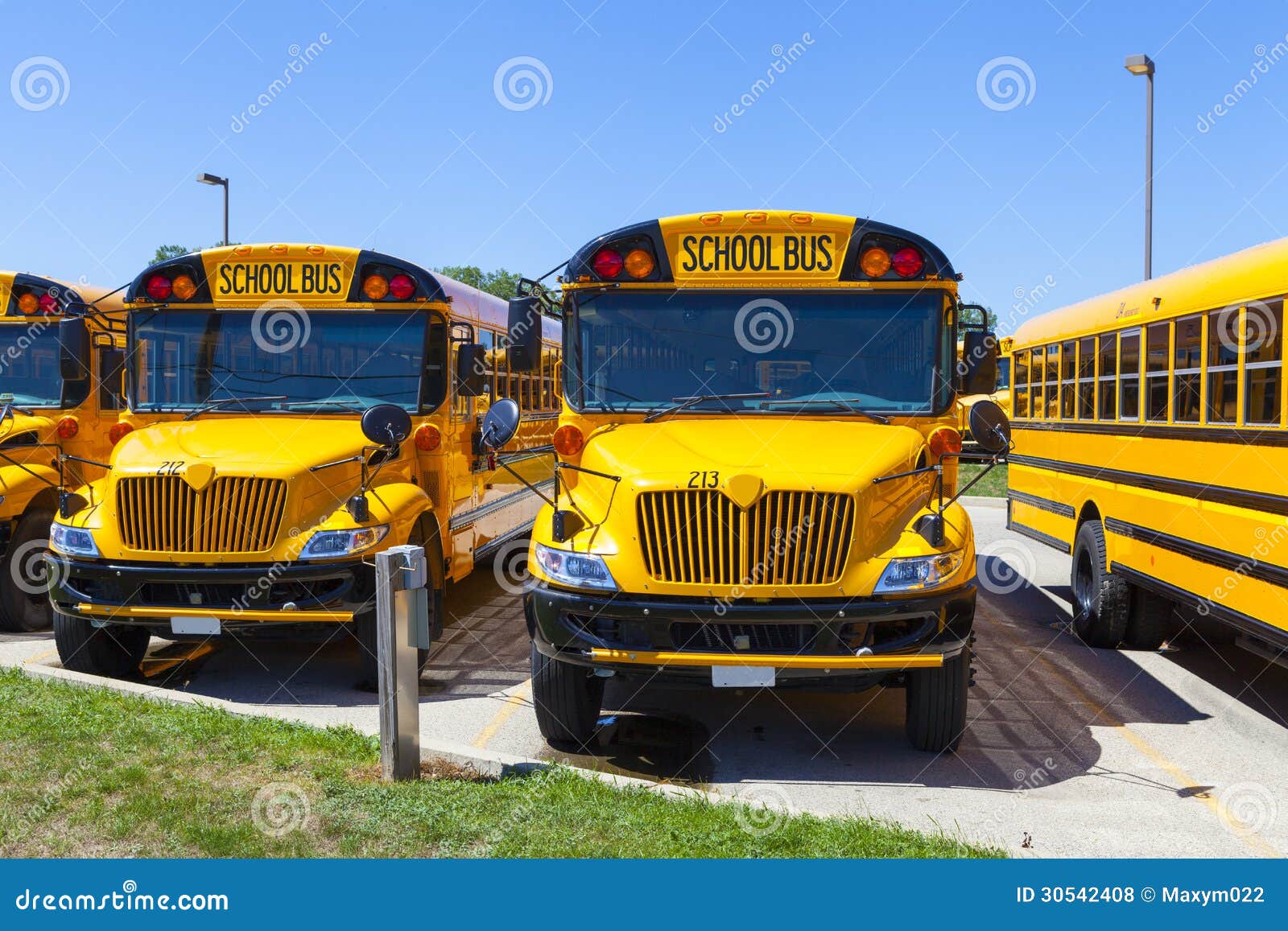 Yellow School Bus stock photo. Image of ride, school - 30542408