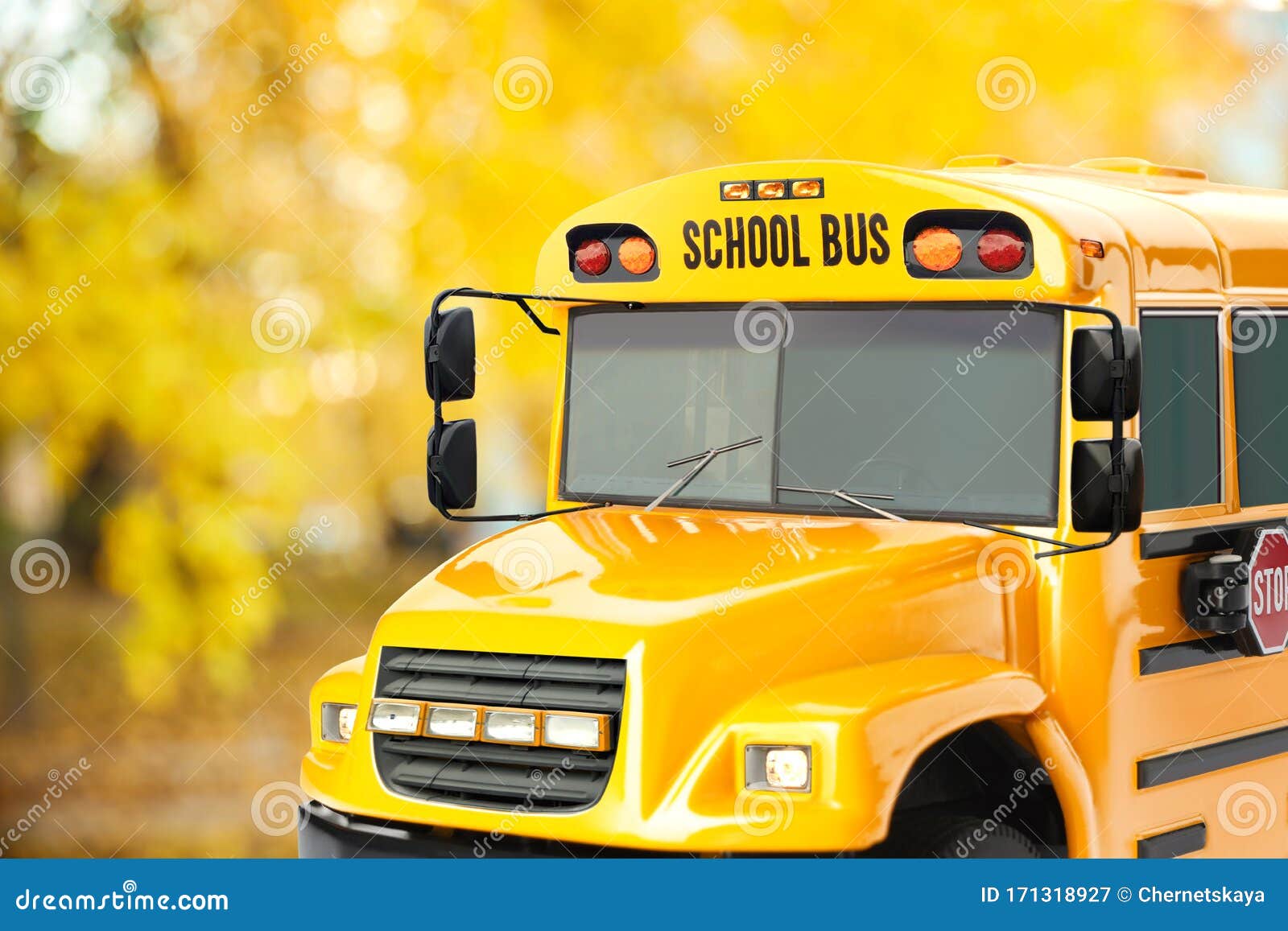 Yellow School Bus. Transport for Students Stock Image - Image of fast ...