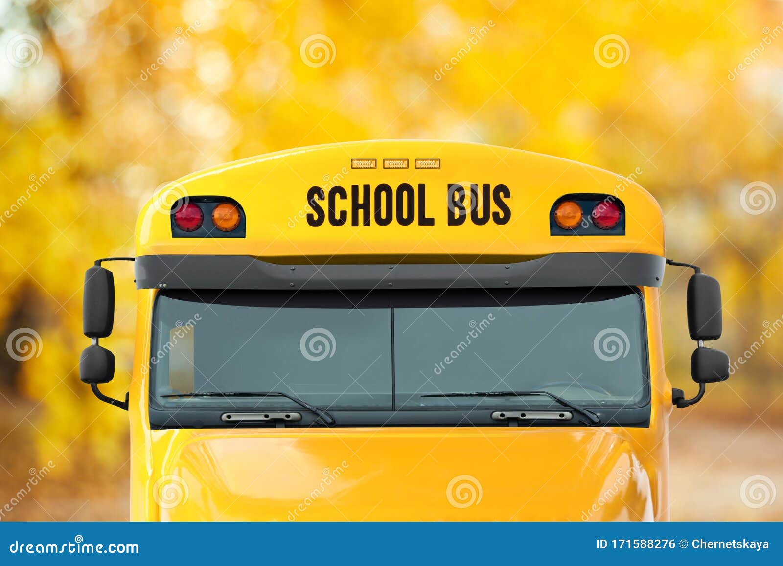 Yellow School Bus. Transport for Students Stock Photo - Image of drive ...