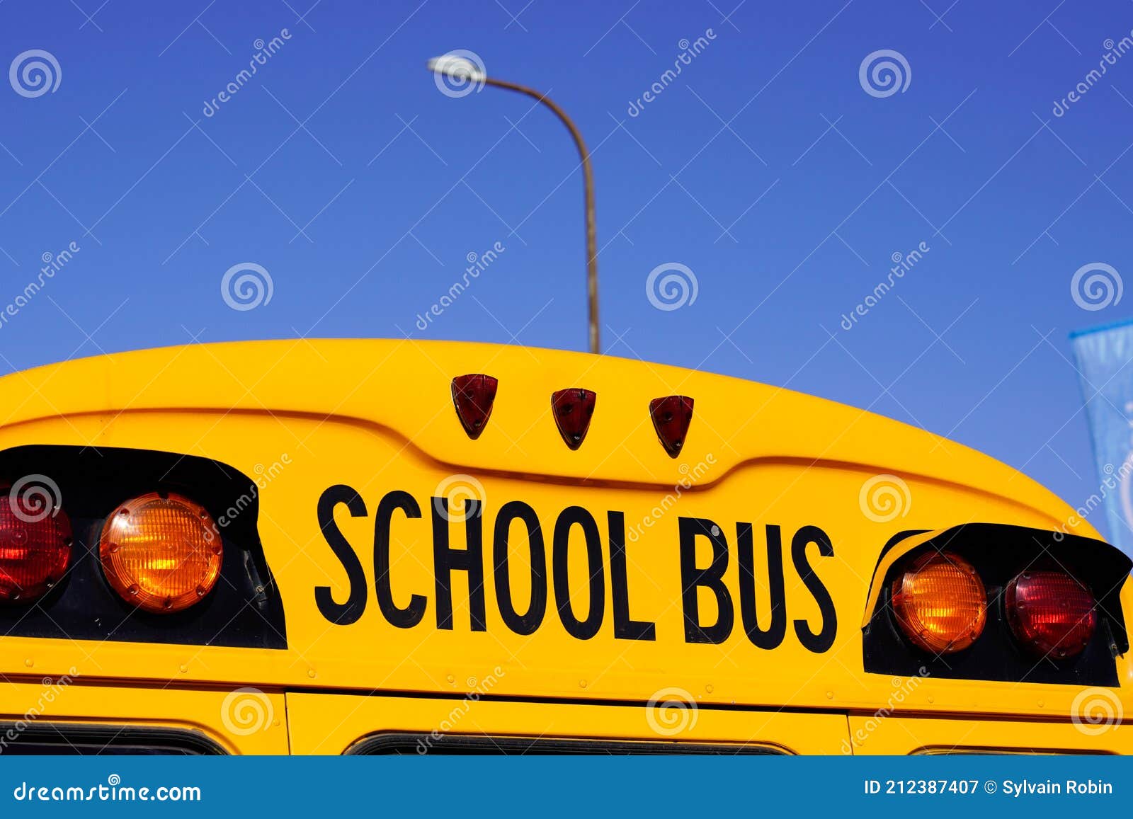 Yellow School Bus Rear Back Closeup View with Text Sign and Security ...