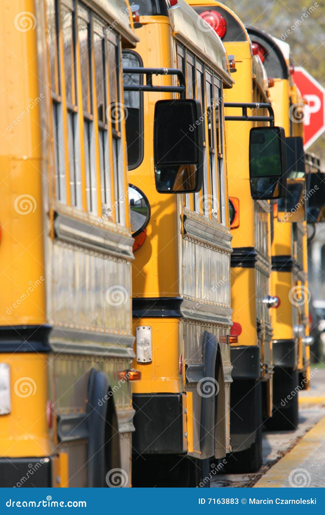 Yellow school buses stock image. Image of child, safety - 7163883