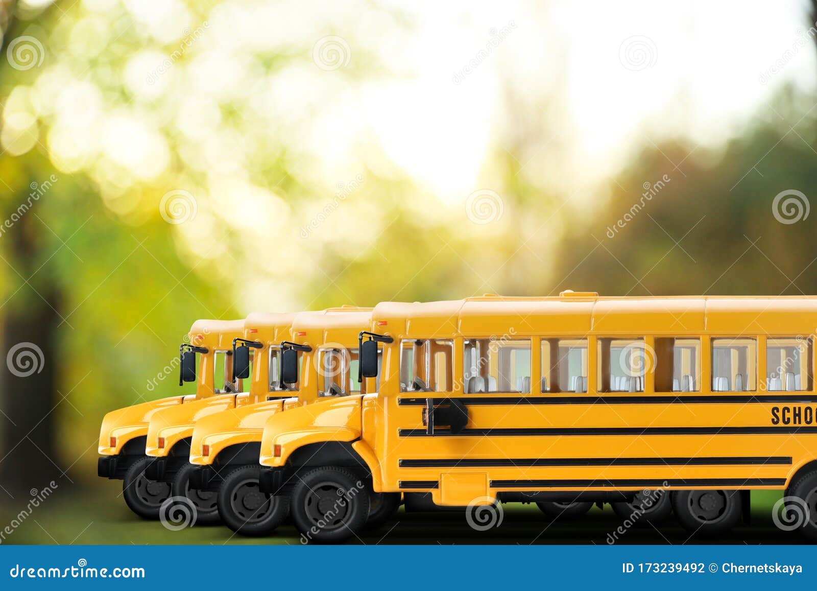 Yellow School Buses Outdoors. Transport for Students Stock Photo ...