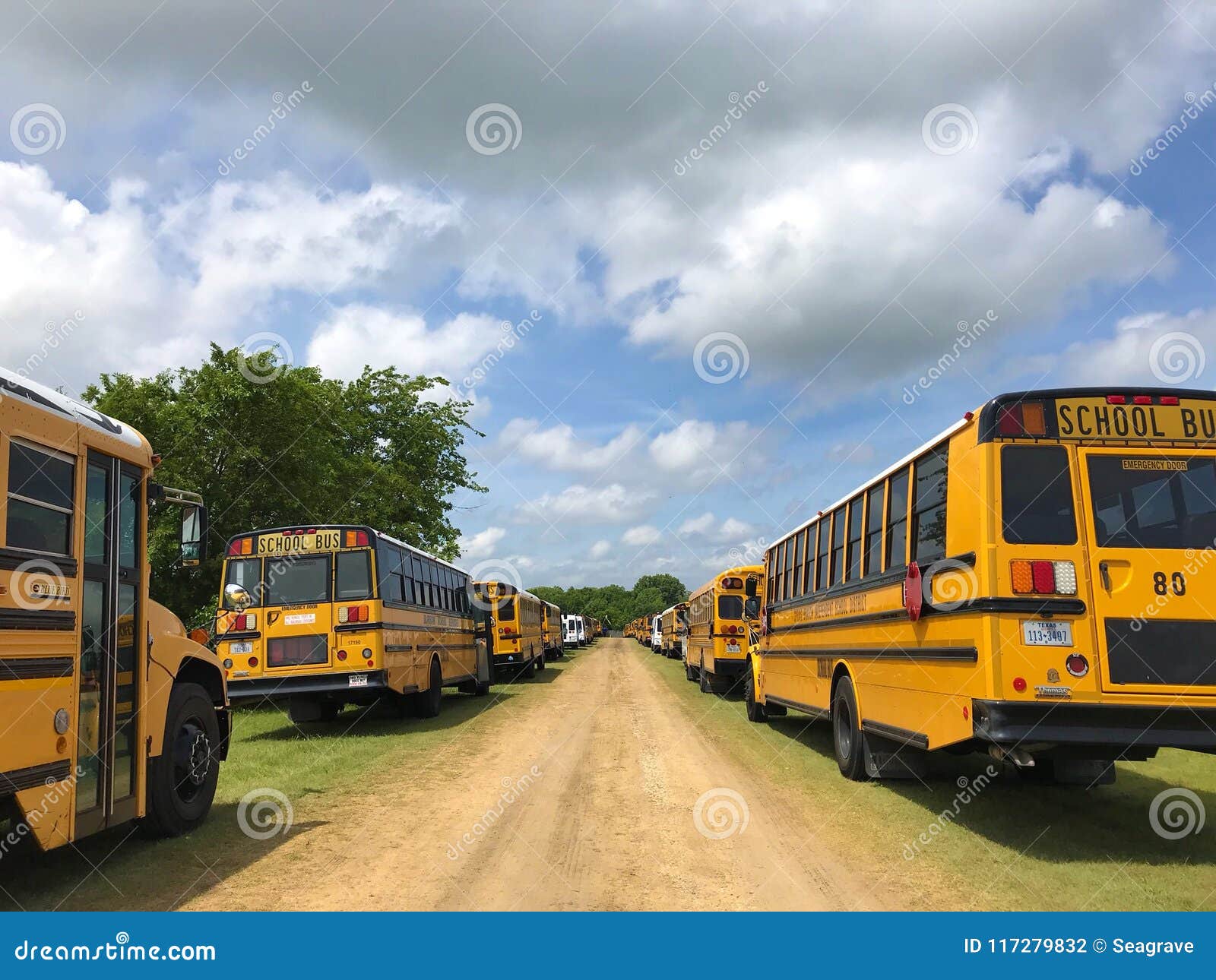 Two Yellow School Buses Ready For Field Trip Editorial Image ...