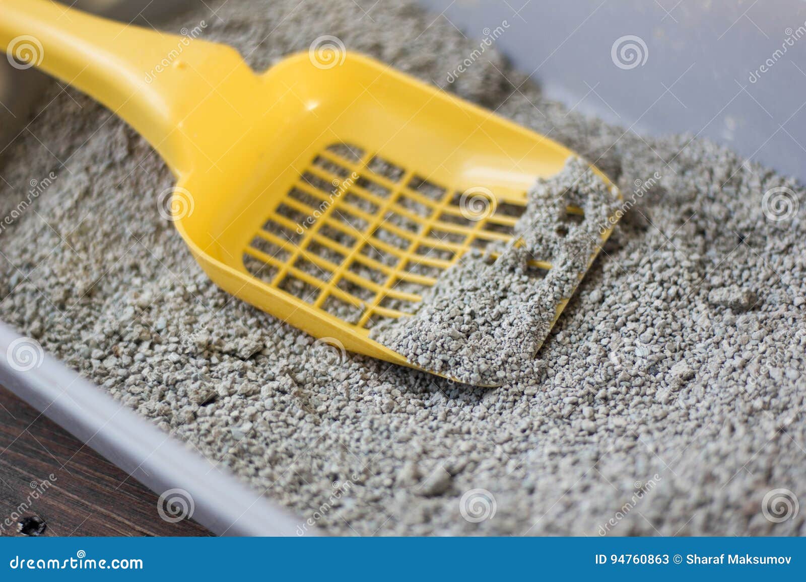 1,623 Scoop Litter Stock Photos - Free & Royalty-Free Stock Photos from ...