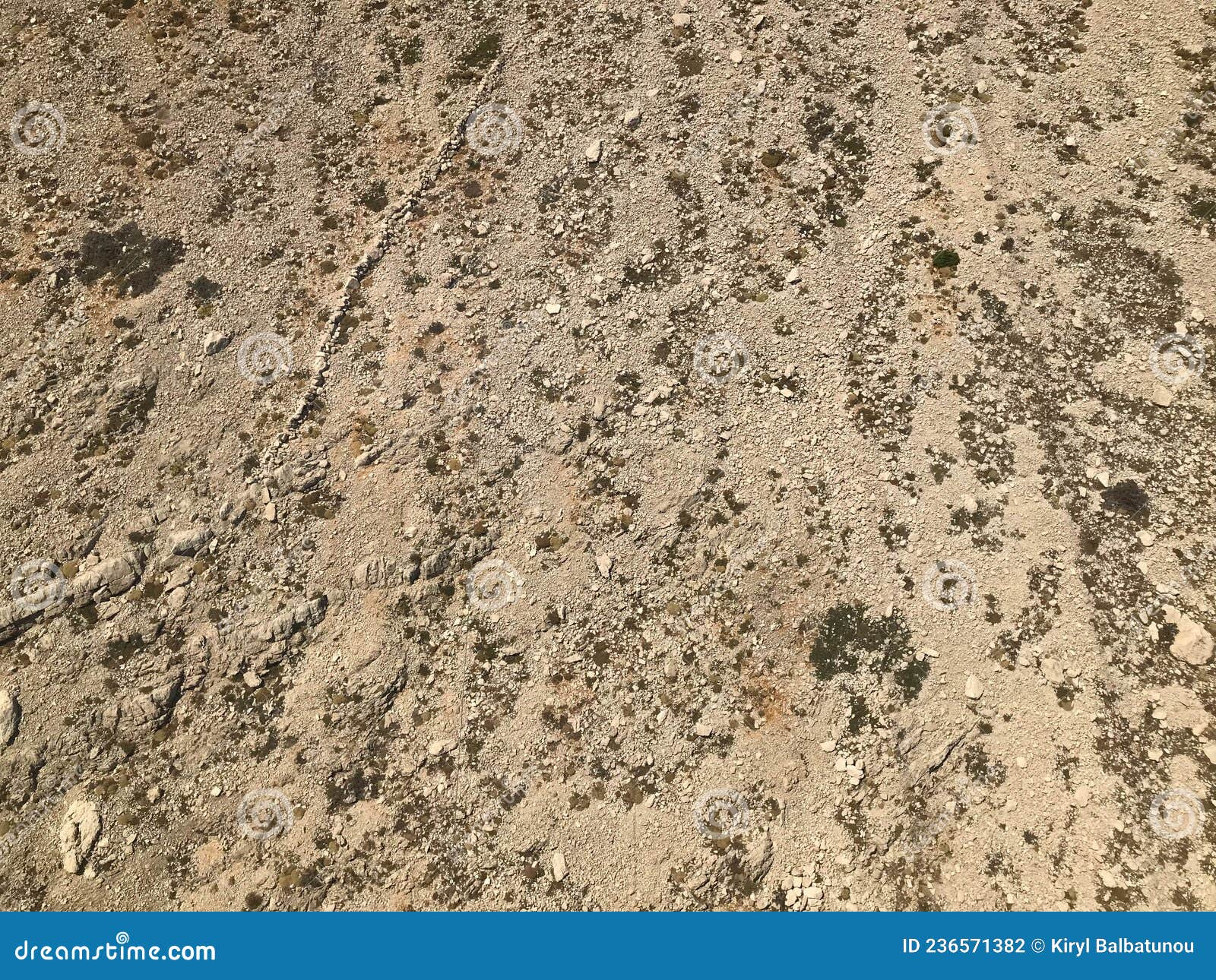 Yellow Scorched Rock Texture with Withered Grass, Small Pebbles and ...