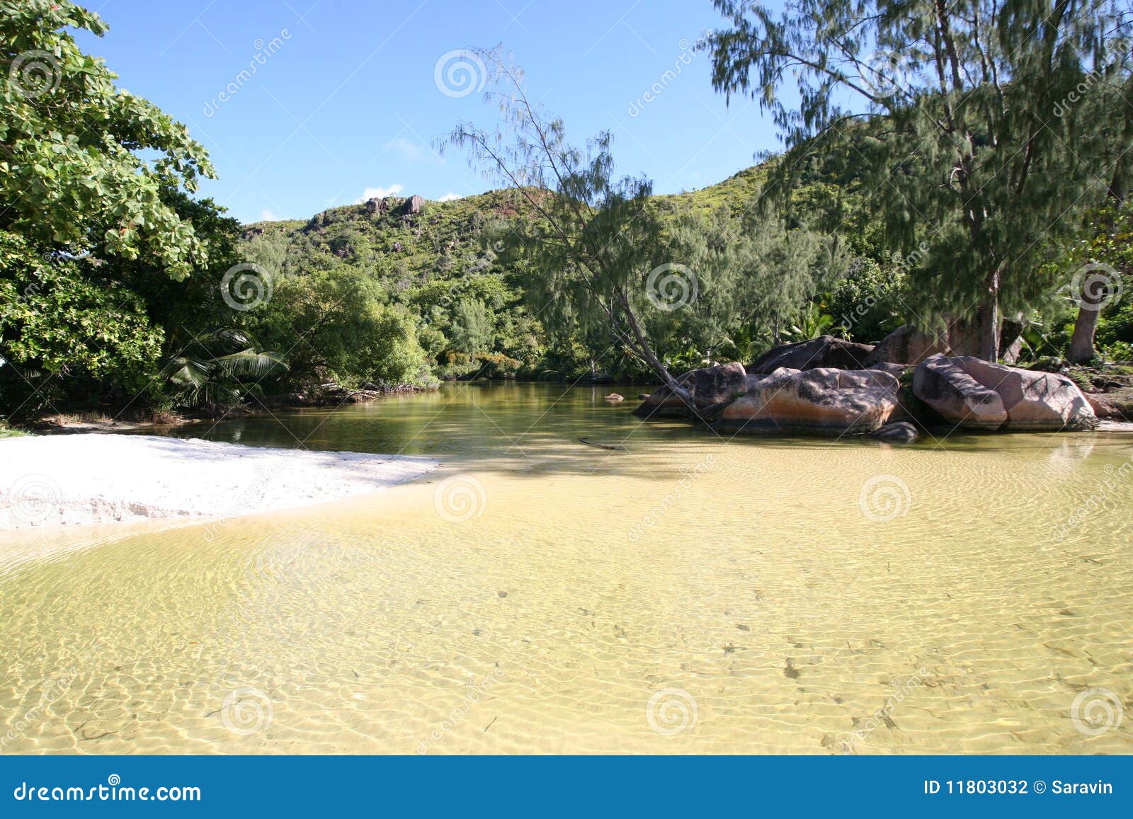Yellow sea stock photo. Image of travel, vegetation, cloud - 11803032