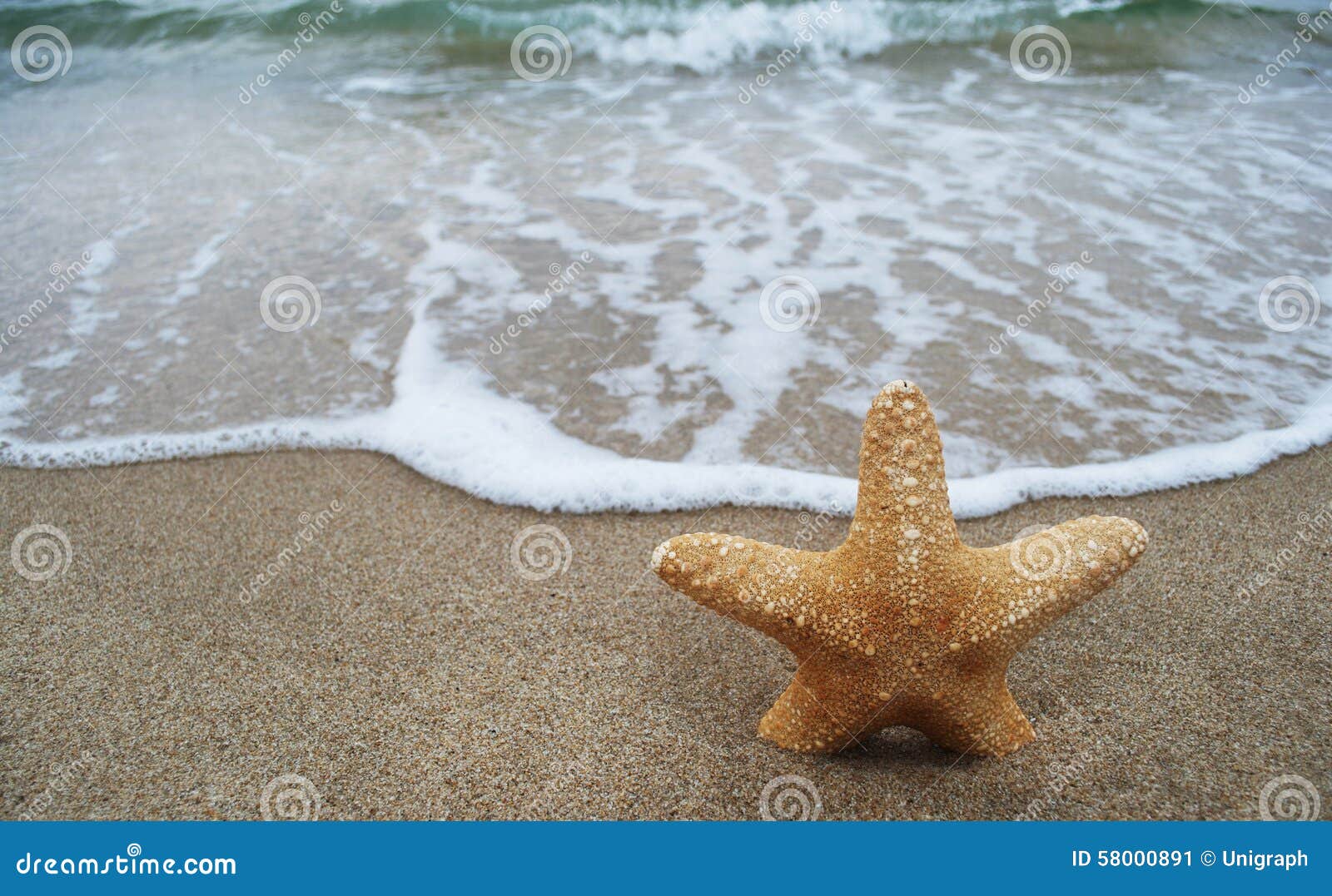 Yellow sea star and wave stock image. Image of seastar - 58000891